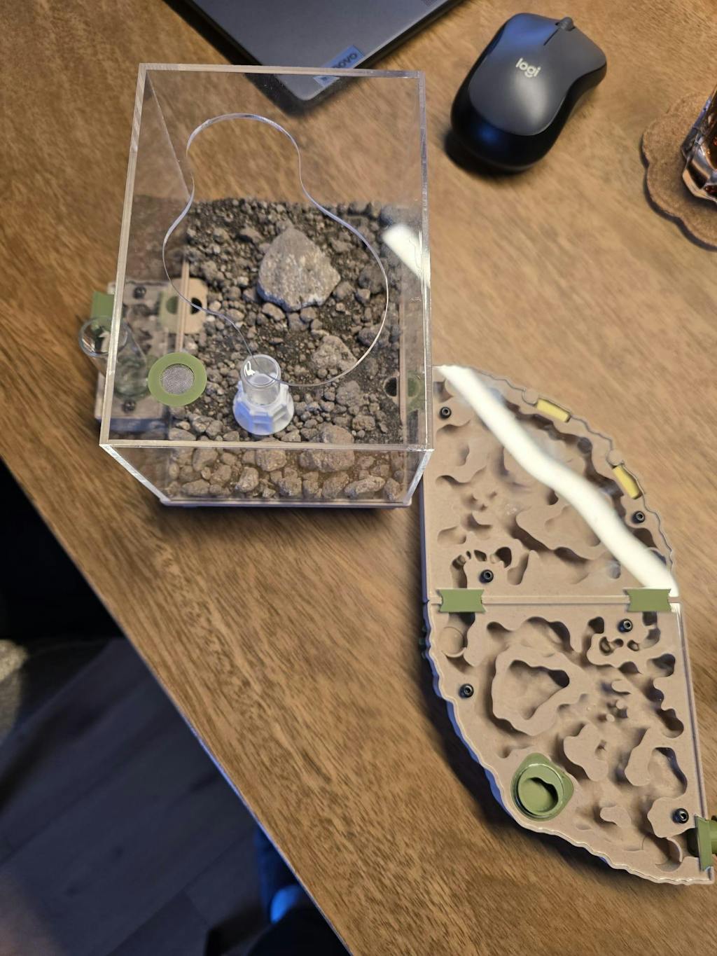 Antkeeping Starter Pack (Ant Farm + Outworld) – AntKeepers