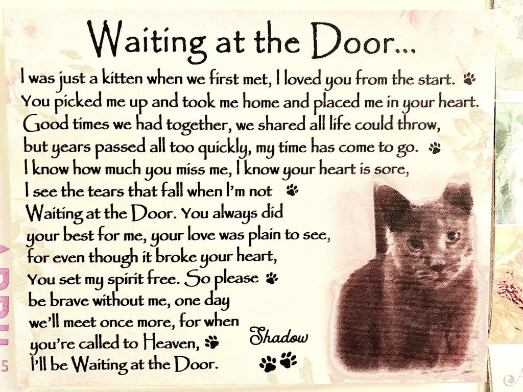 The Last Battle Cat Poem | Custom Cat Memorial Canvas Print
