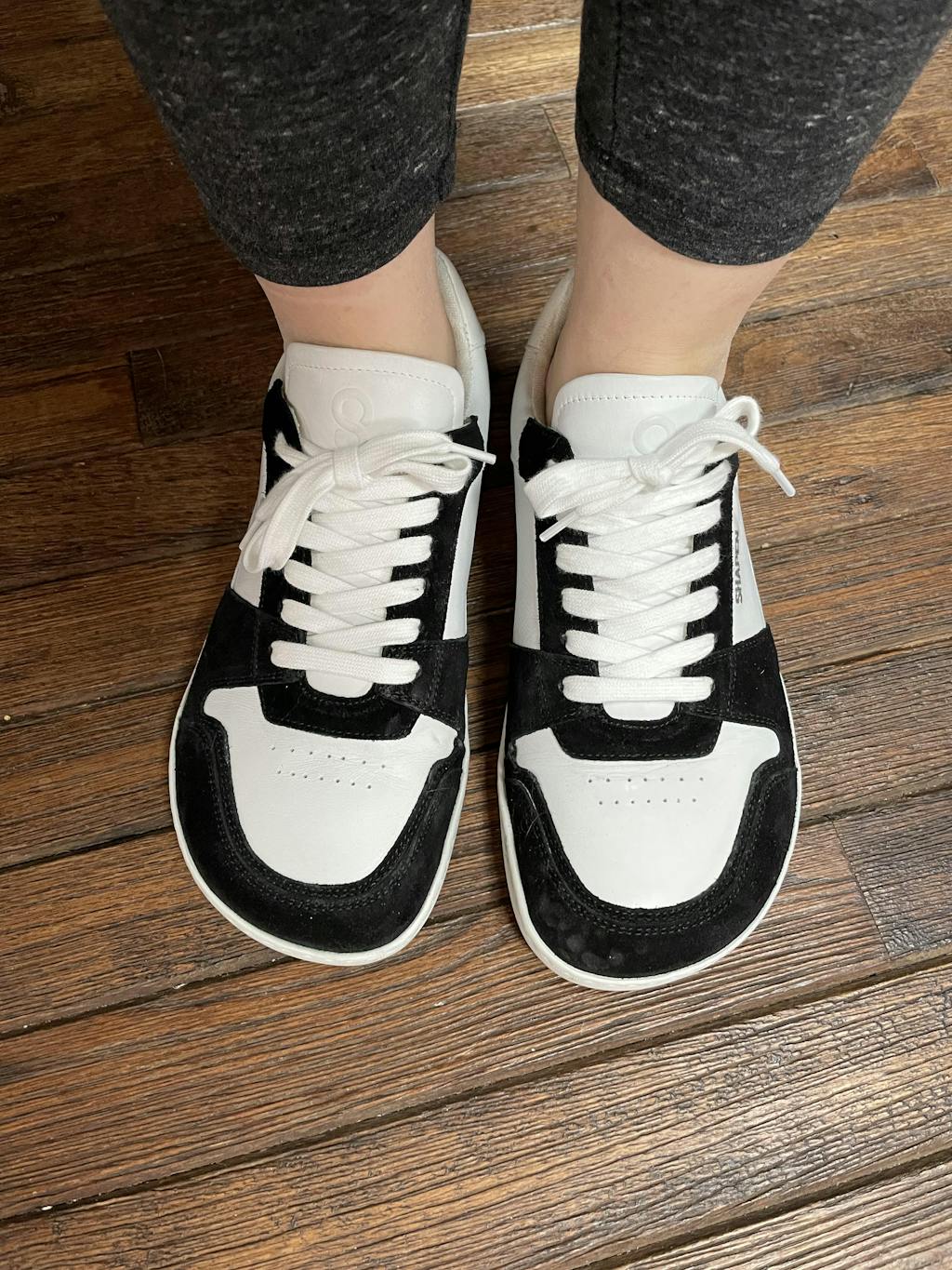 Shapen Rewind Leather Sneaker – Anya's Shop