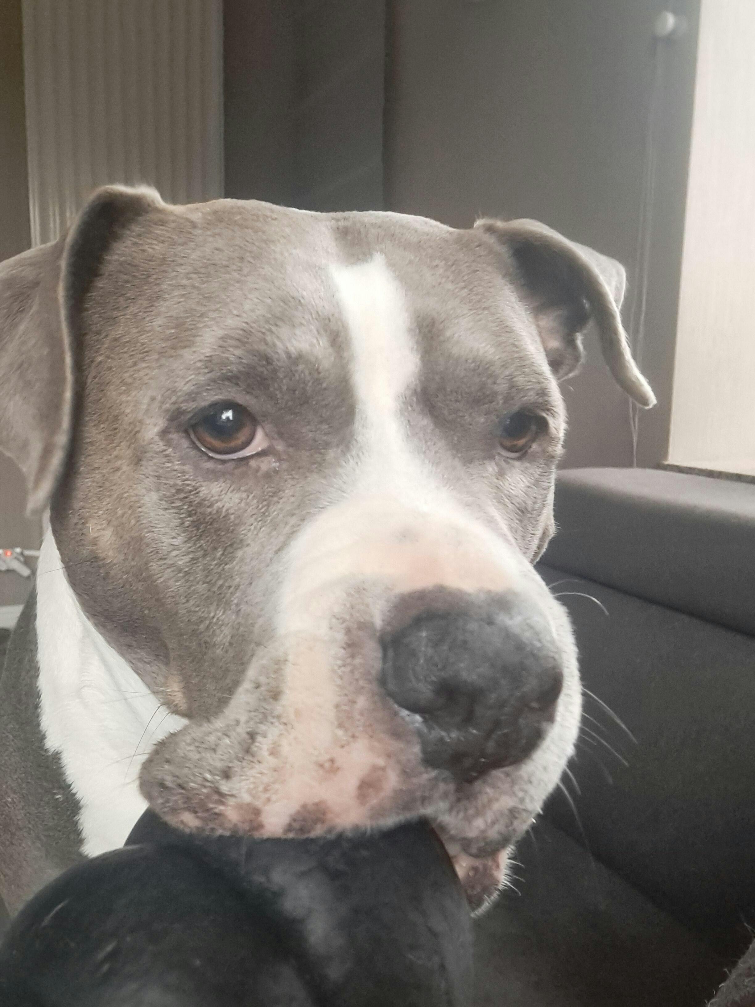 Firmware & Software | ANYCUBIC 3D Printing