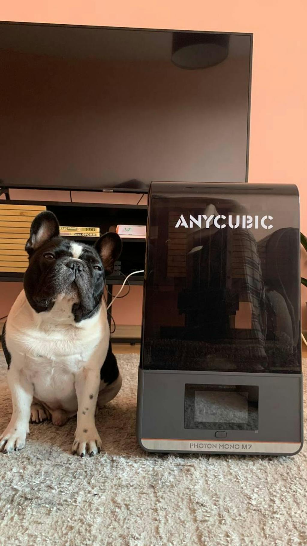 Anycubic Photon Mono M7: All Speed, All Spirit, High Speed Printer