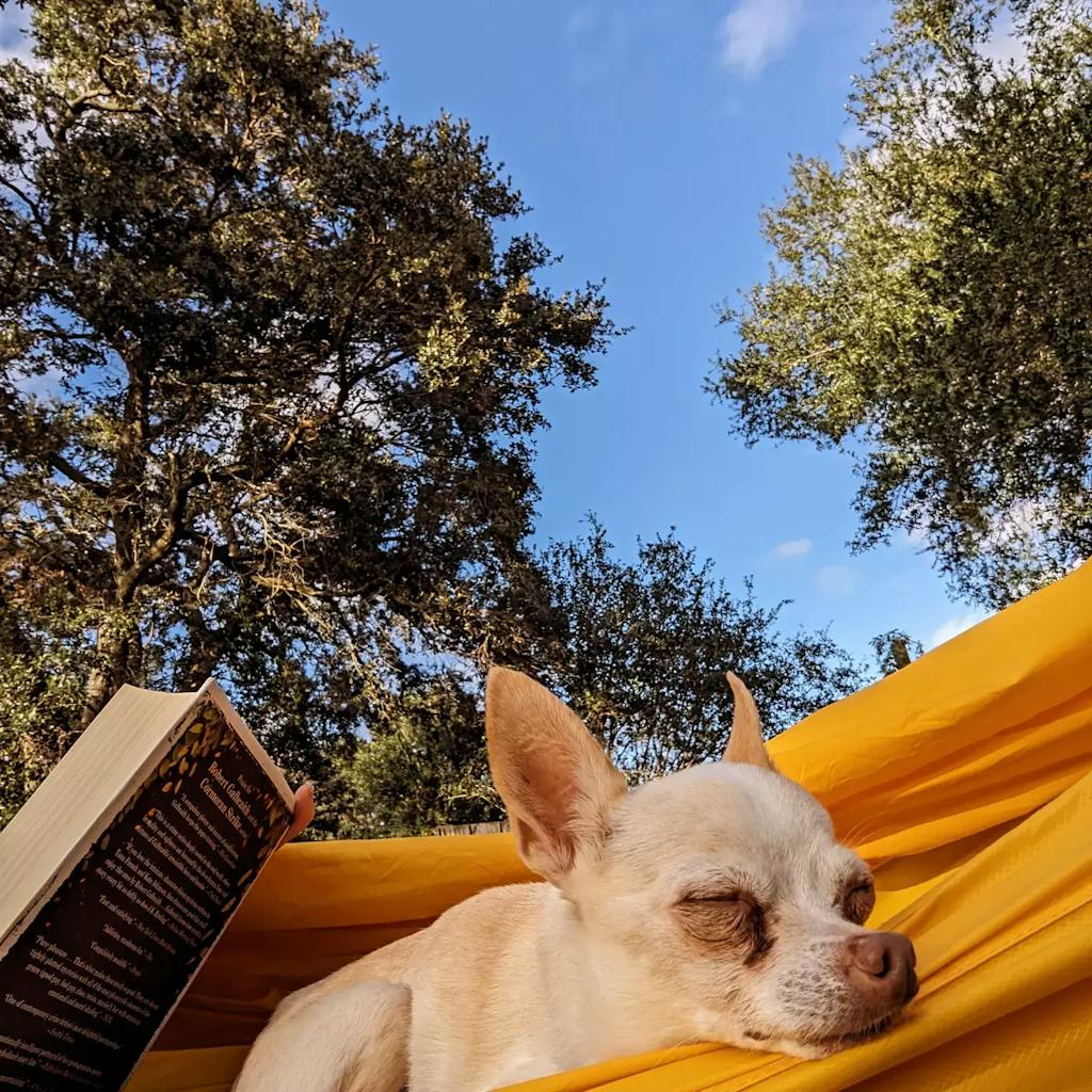 anymaka | Hammock Full Pack