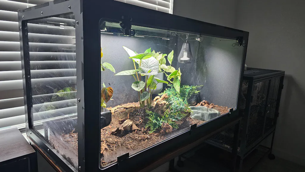 Modular PVC Reptile Enclosure 4'x2'x4' Terrestrial Arboreal Corner ...