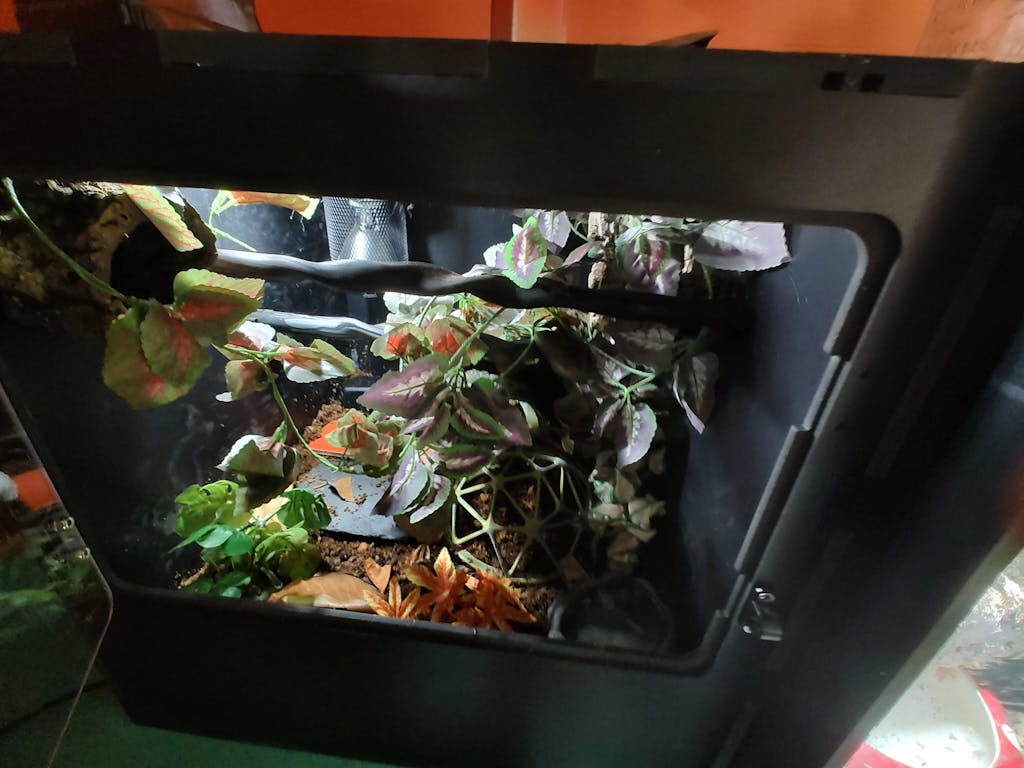 Modular PVC Reptile Enclosure 4'x2'x2' Double Swing Down Doors - Apex ...