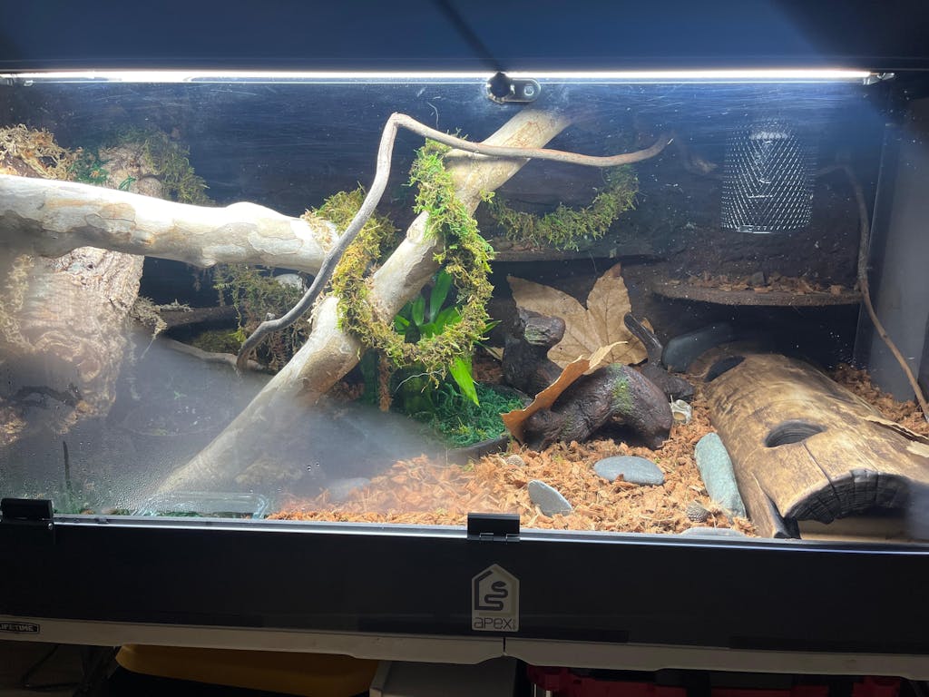 Modular PVC Reptile Enclosure 4'x2'x2' Double Swing Down Doors - Apex ...