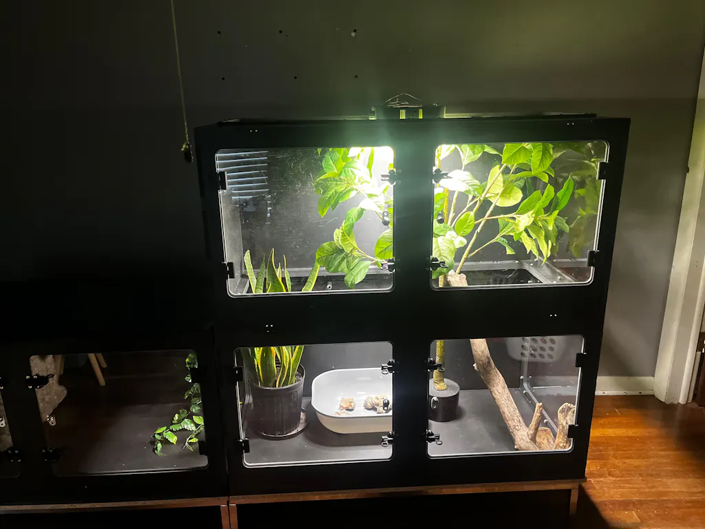 Modular PVC Reptile Enclosure 4'x2'x4' Terrestrial Arboreal Corner ...