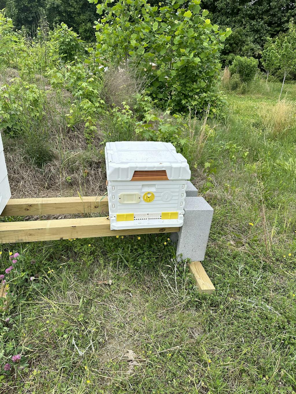 Ergo PLUS White Double Brood Box Beehive Set – Apimaye USA