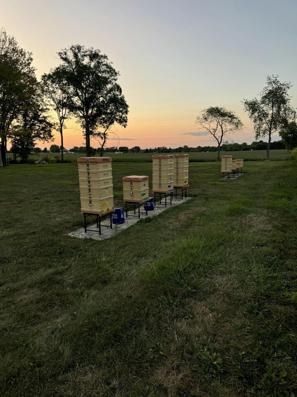 Ergo PLUS Double Brood Box Beehive Set – Apimaye USA