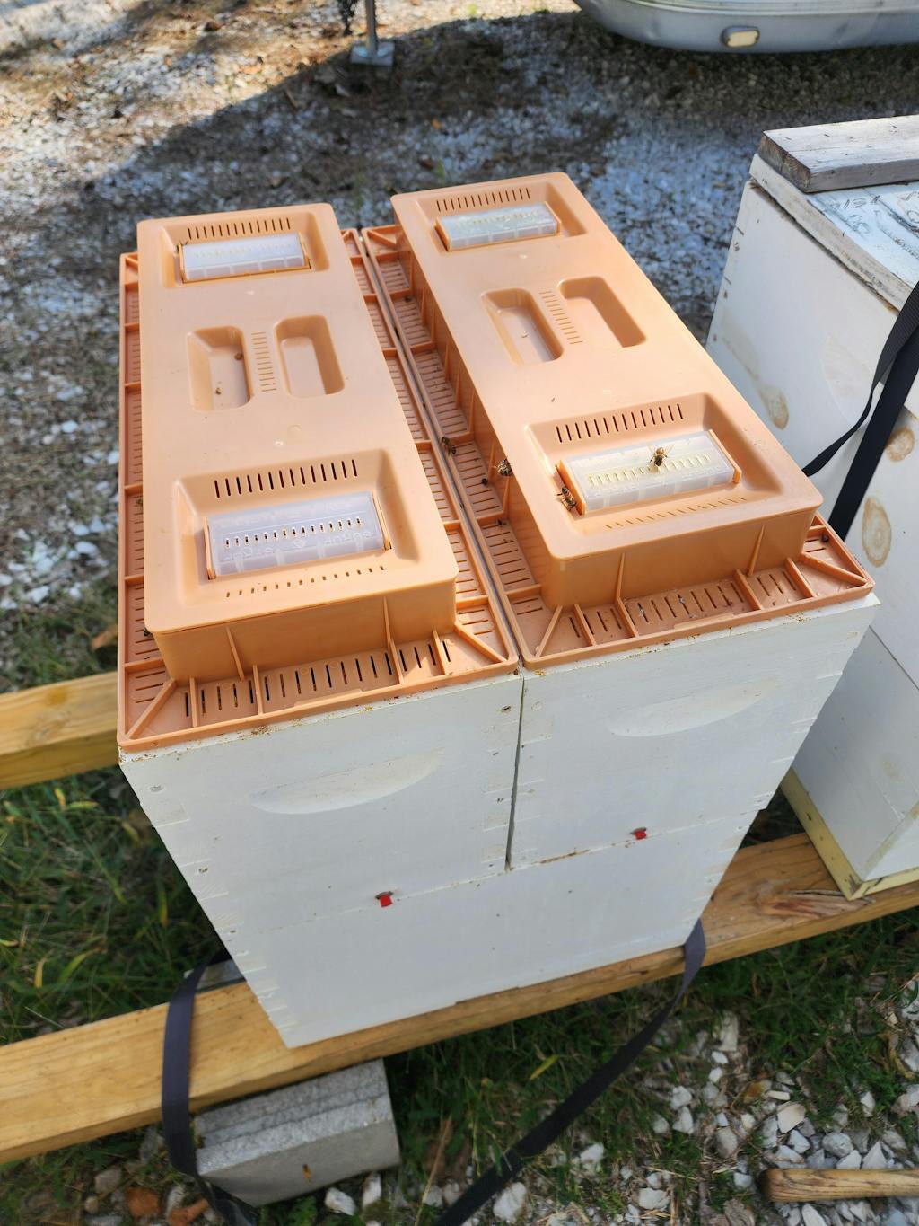 Half Feeder / 5 Frame Nuc Feeder (Pair) – Apimaye USA