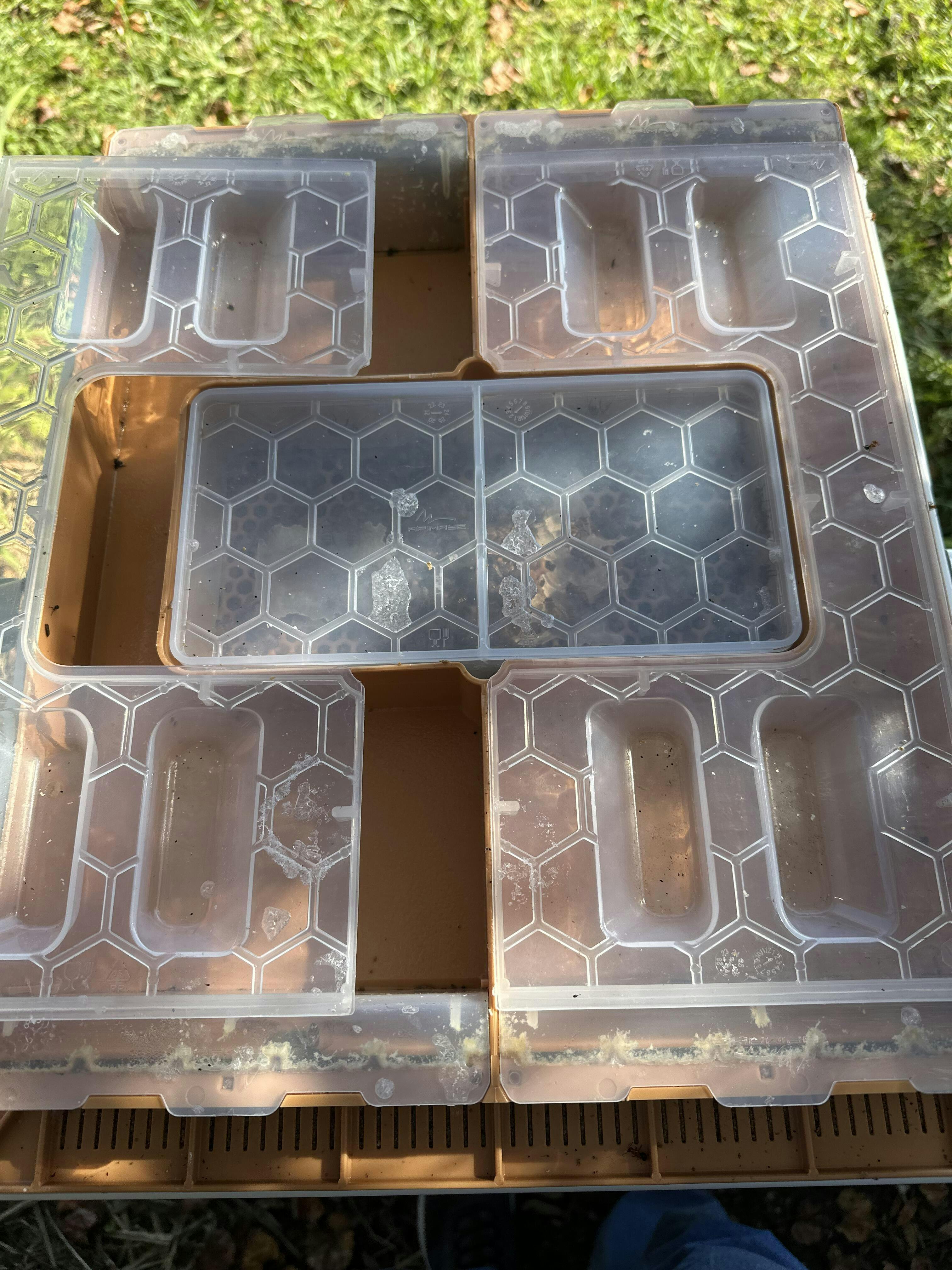 Ergo PLUS Double Brood Box Beehive Set – Apimaye USA