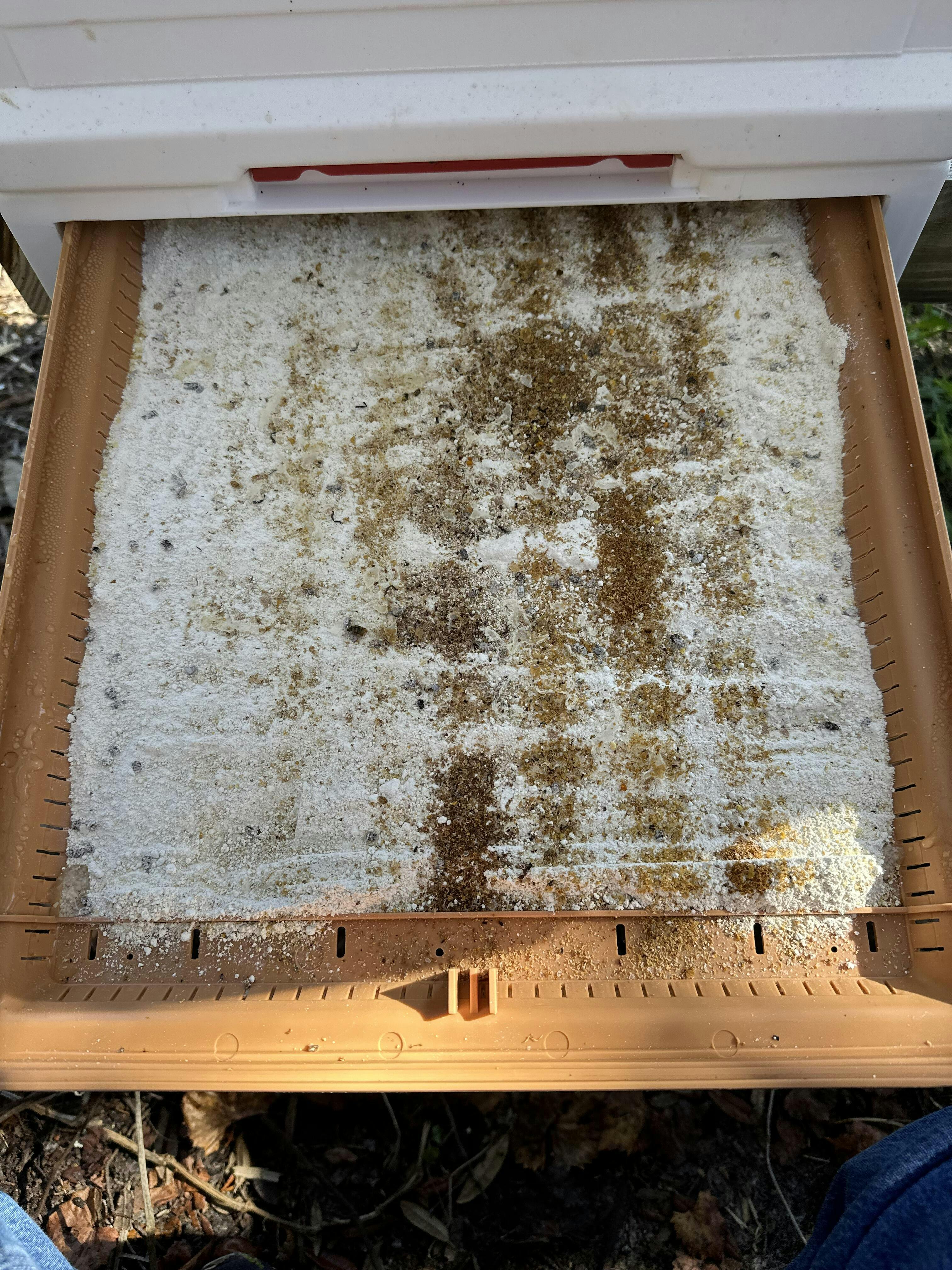 Ergo PLUS Double Brood Box Beehive Set – Apimaye USA