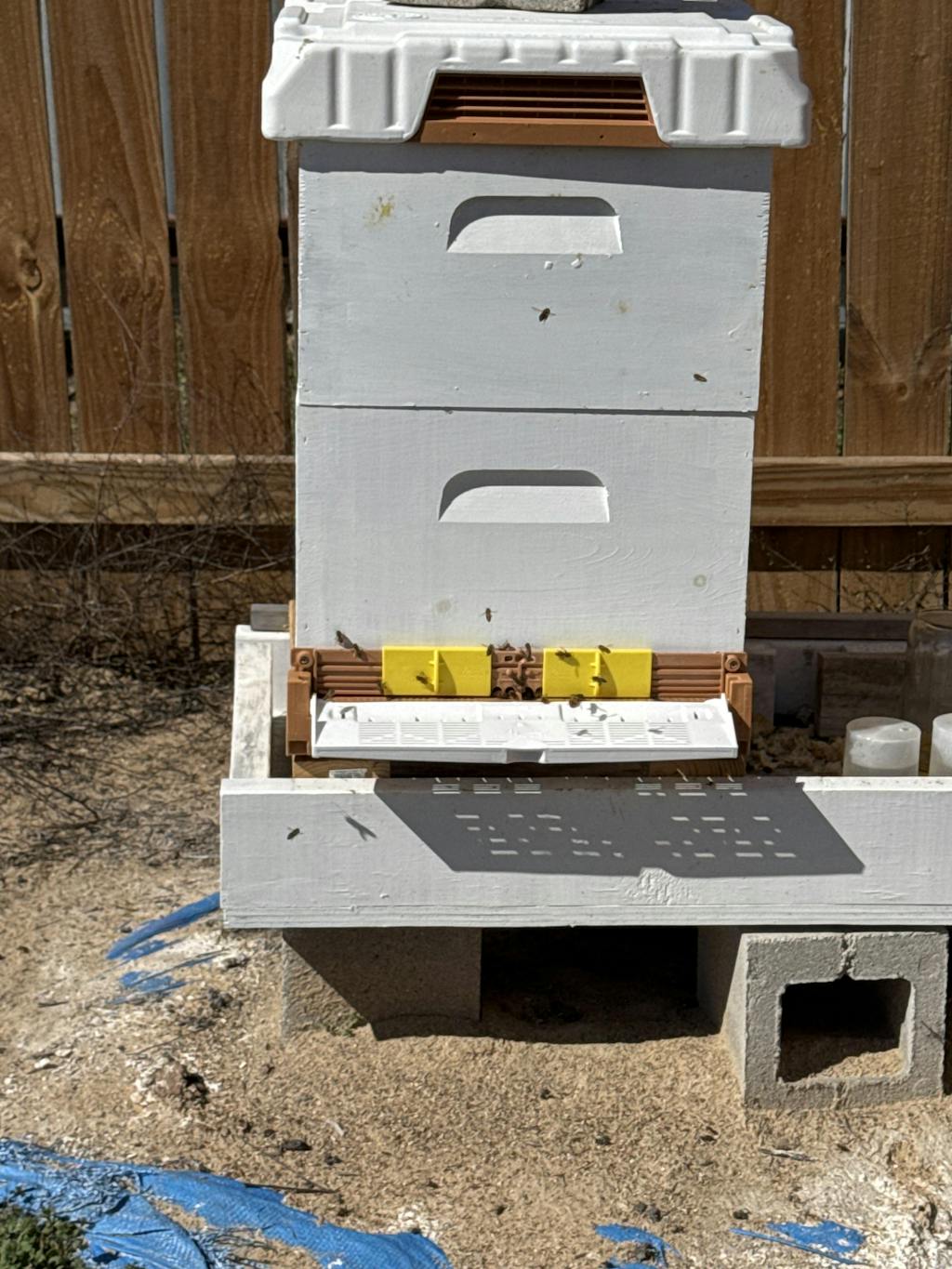 10 Frame Screen Bottom Board With Bottom Tray & Pollen Trap – Apimaye USA