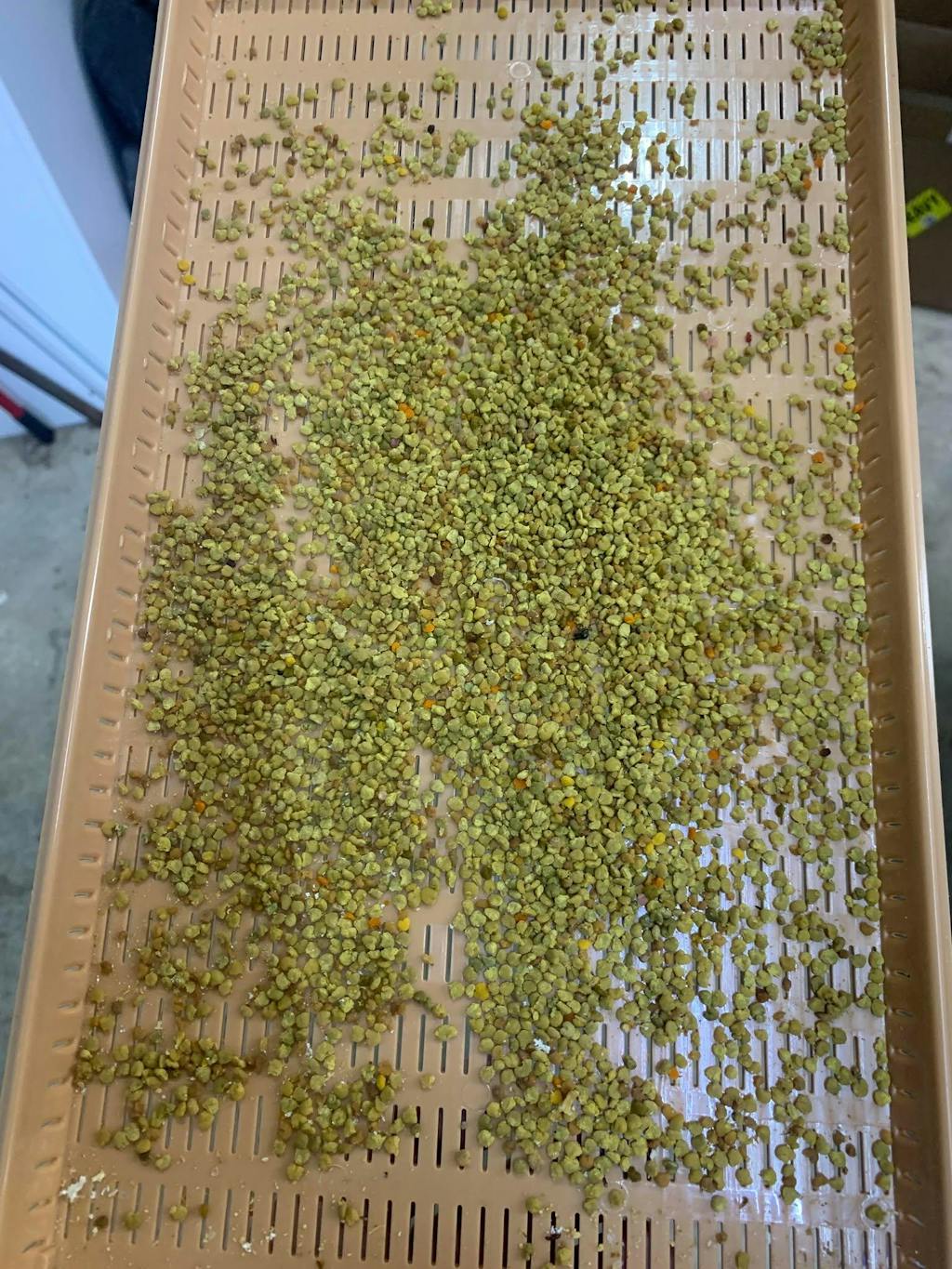 10 Frame Screen Bottom Board With Bottom Tray & Pollen Trap – Apimaye USA