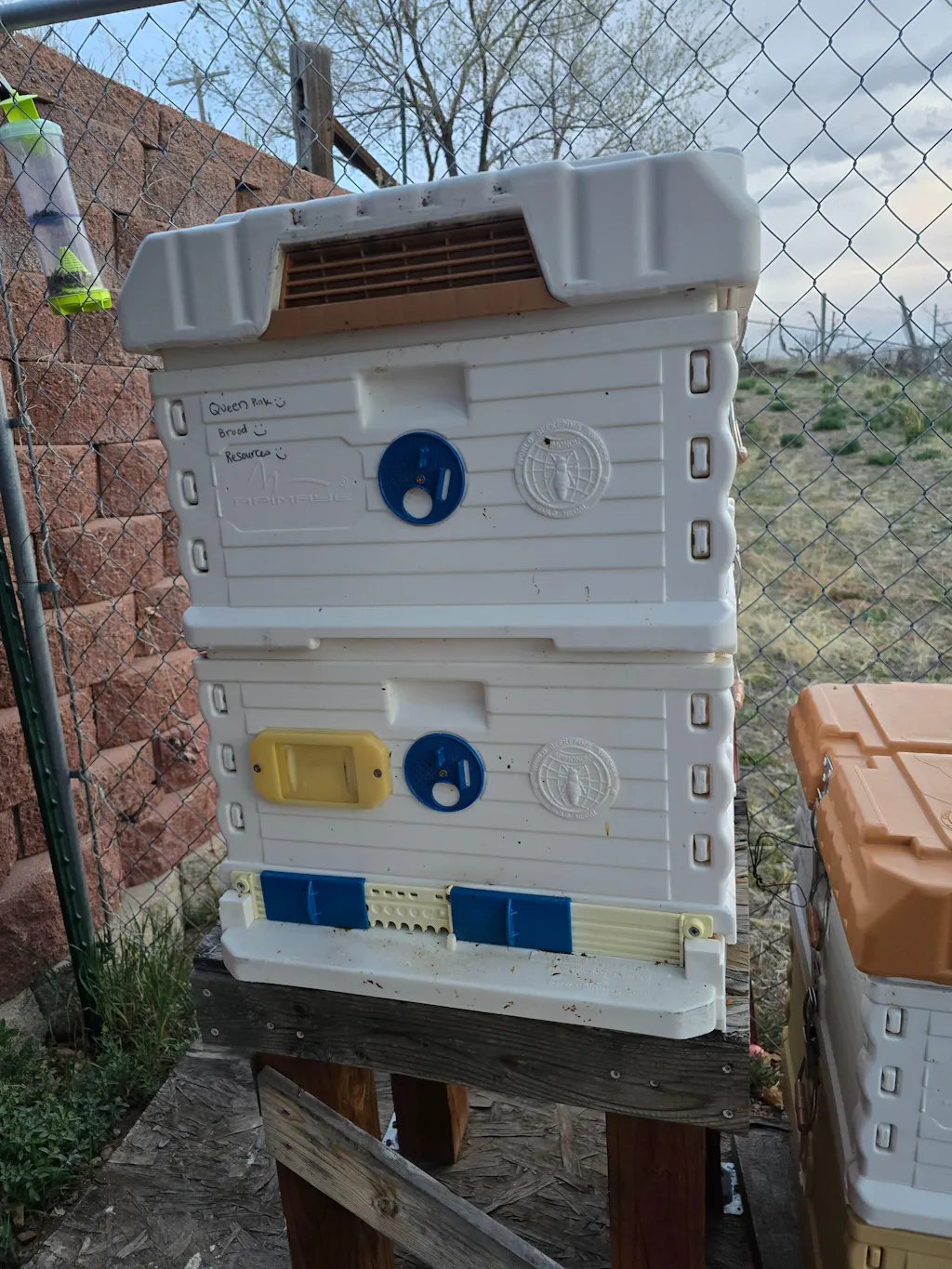 Ergo Insulated Double Brood Box Beehive Set – Apimaye USA