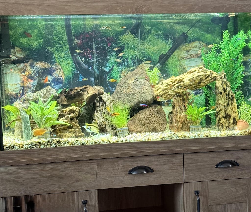 Products – Aqua Essentials