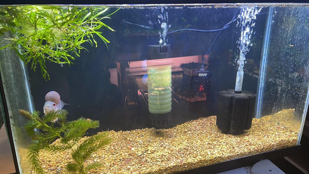 Ziss Bubble Bio Moving Bed Filter | Aquarium Filter for Fish Tanks ...