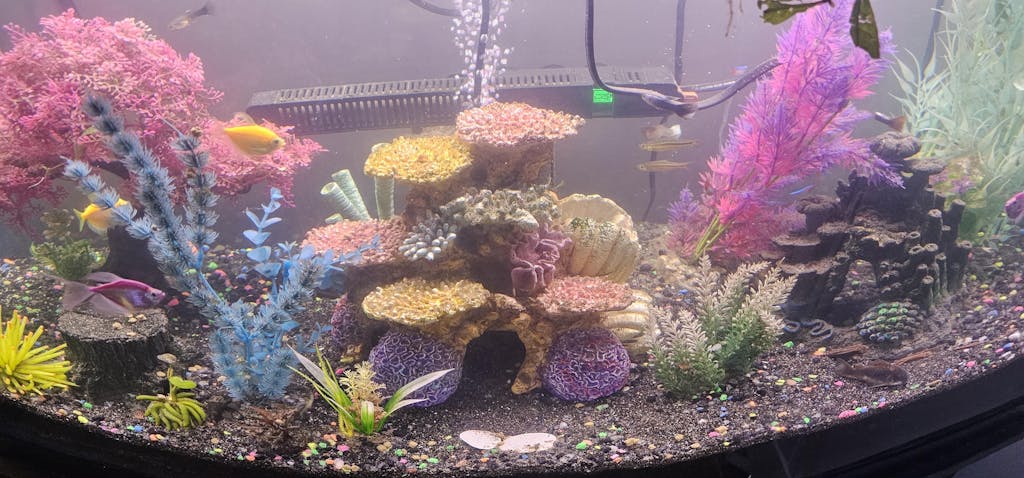 Wonder Shell | Natural Aquarium Minerals to Increase Water Hardness ...