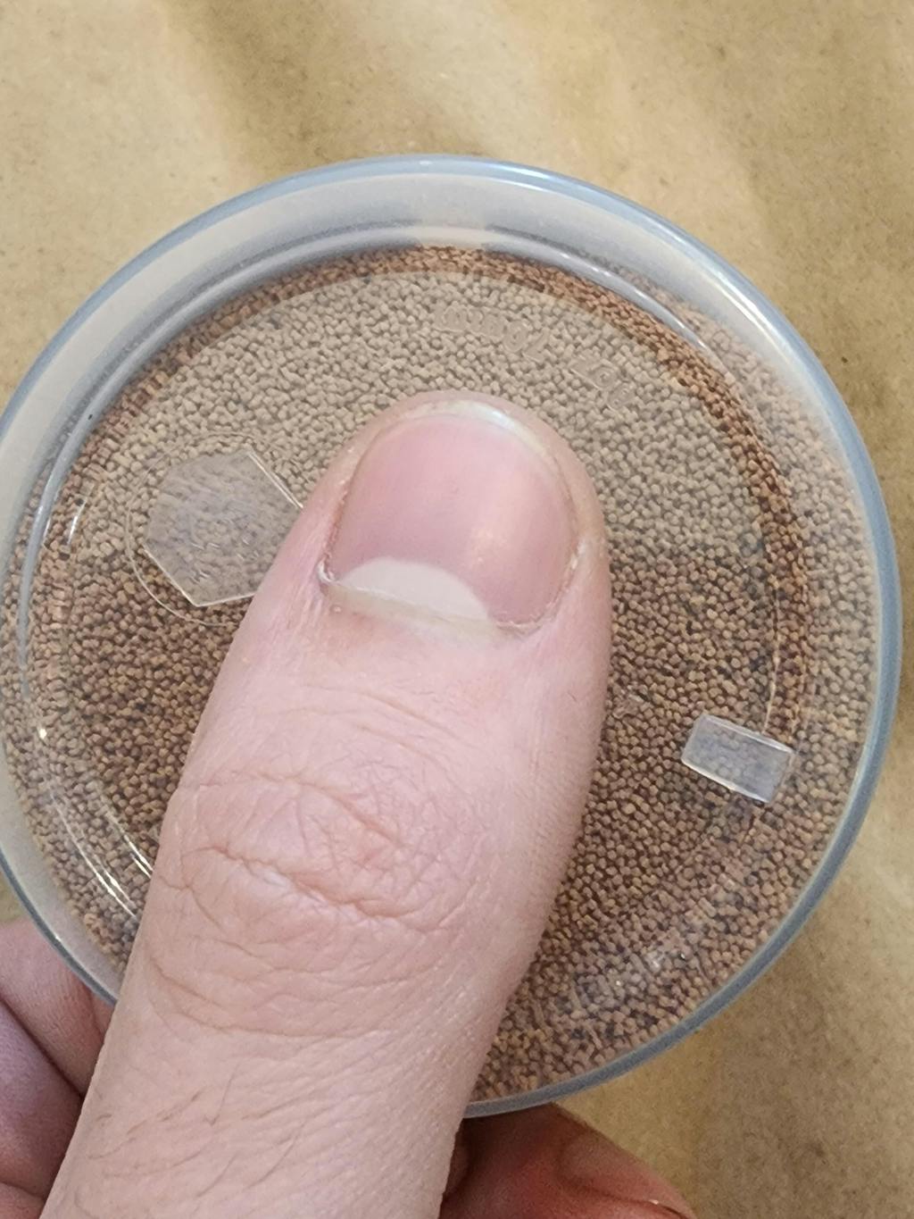 Xtreme Nano Pellets | Aquarium Fish Food for Small Community Fish ...