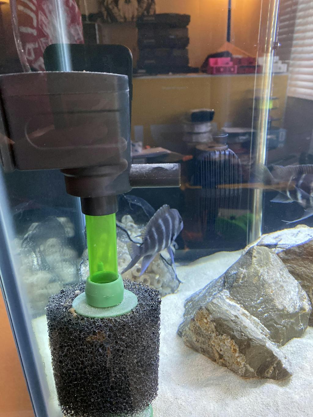Aquarium Co-Op Power Head | Aquarium Powerhead Pump for Faster Flow