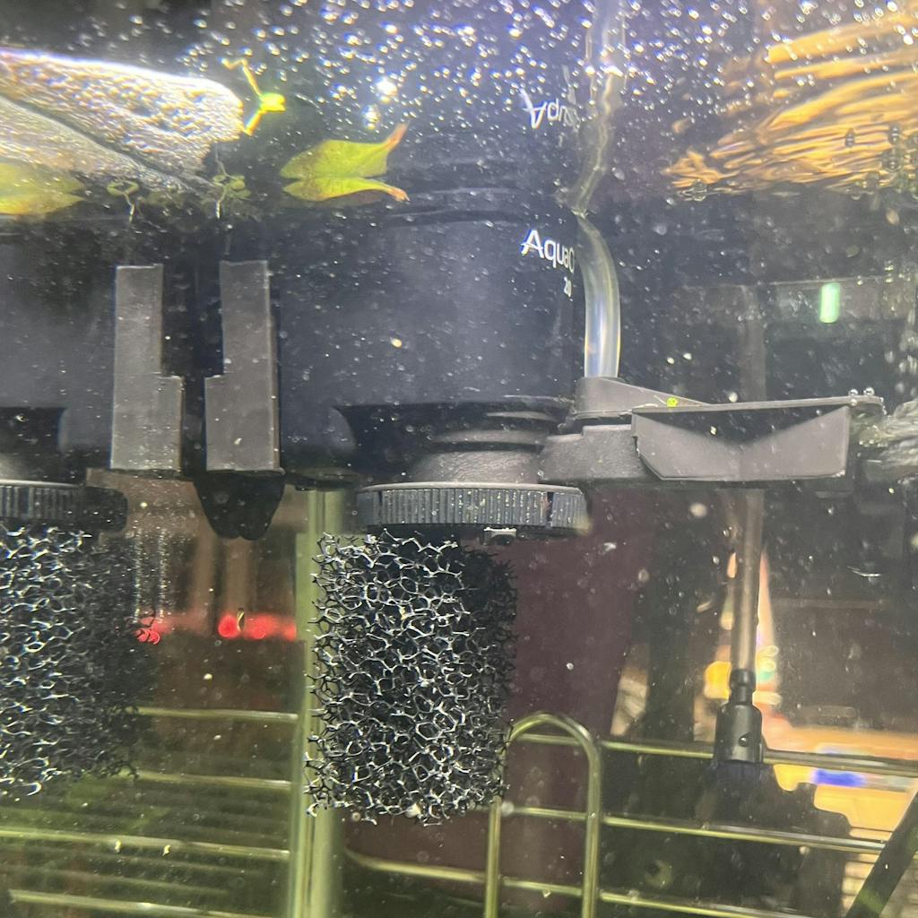 Coarse Sponge Pad | Aquarium Filter Media to Trap Dirt and Debris ...