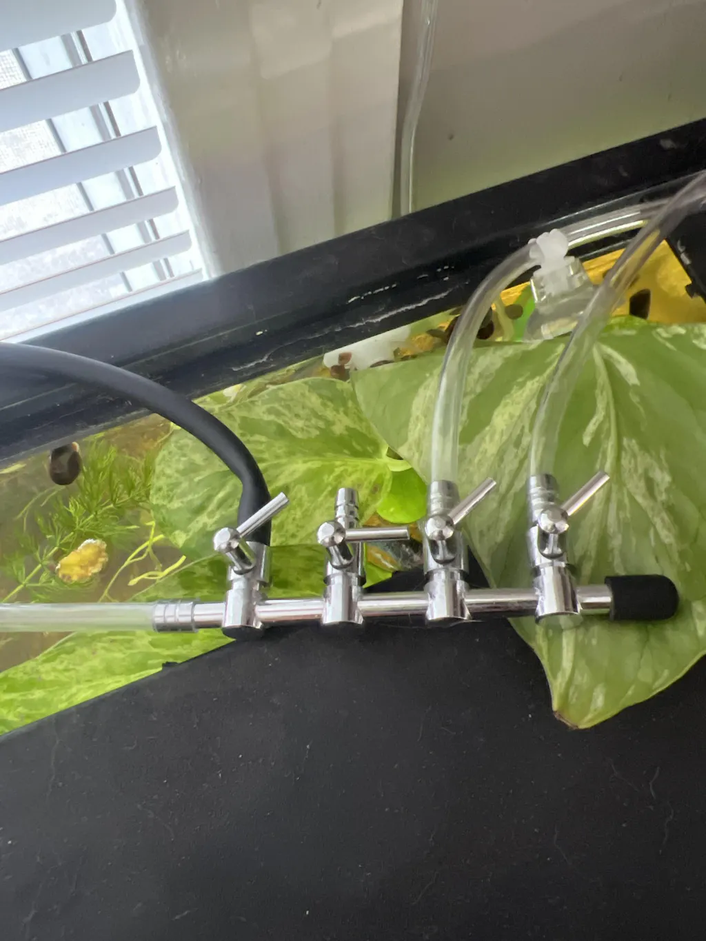 4-Way Gang Valve | Use 1 Aquarium Air Pump with 4 Fish Tanks – Aquarium ...