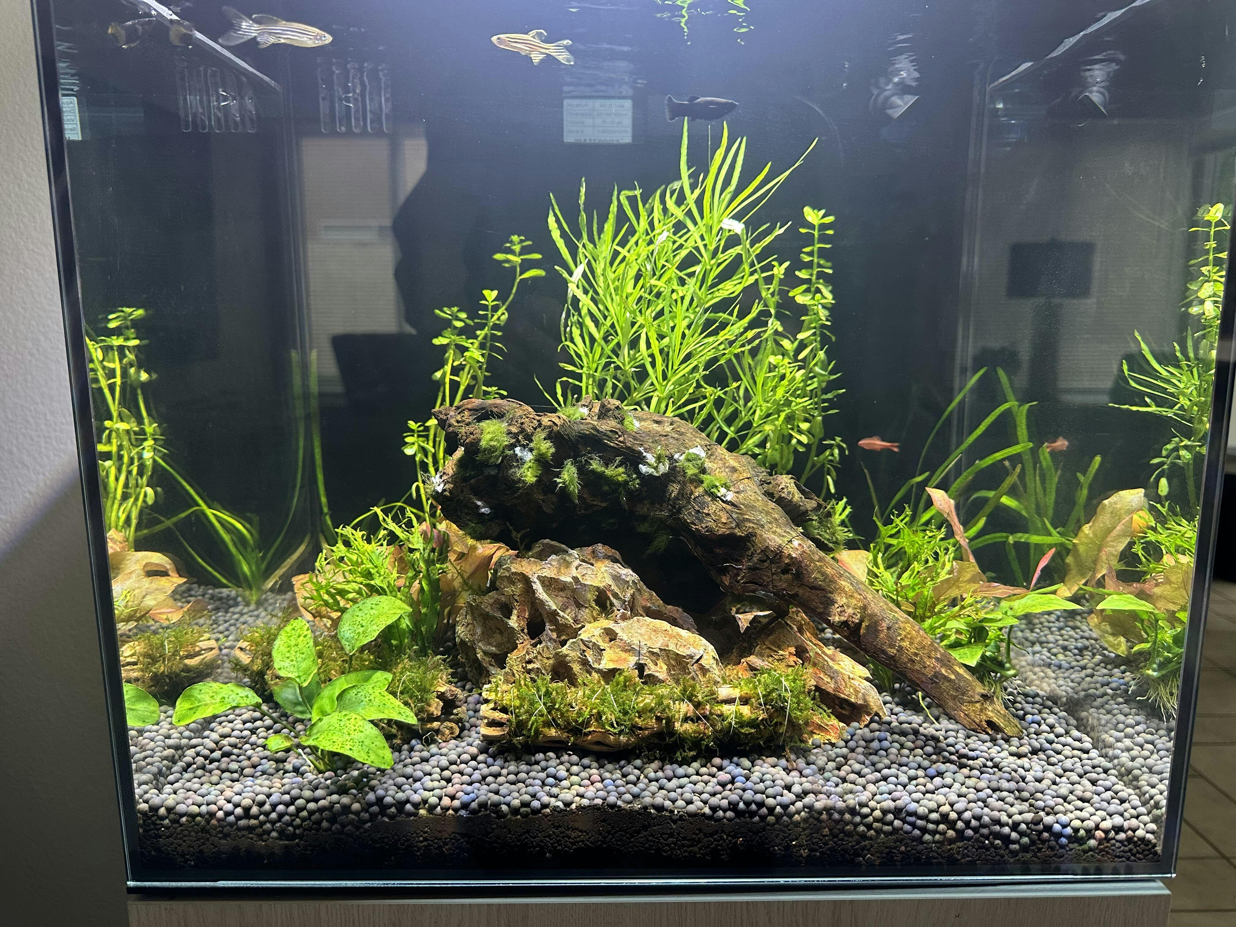 Algae Scrubber | Aquarium Algae Remover to Clean Fish Tanks – Aquarium ...