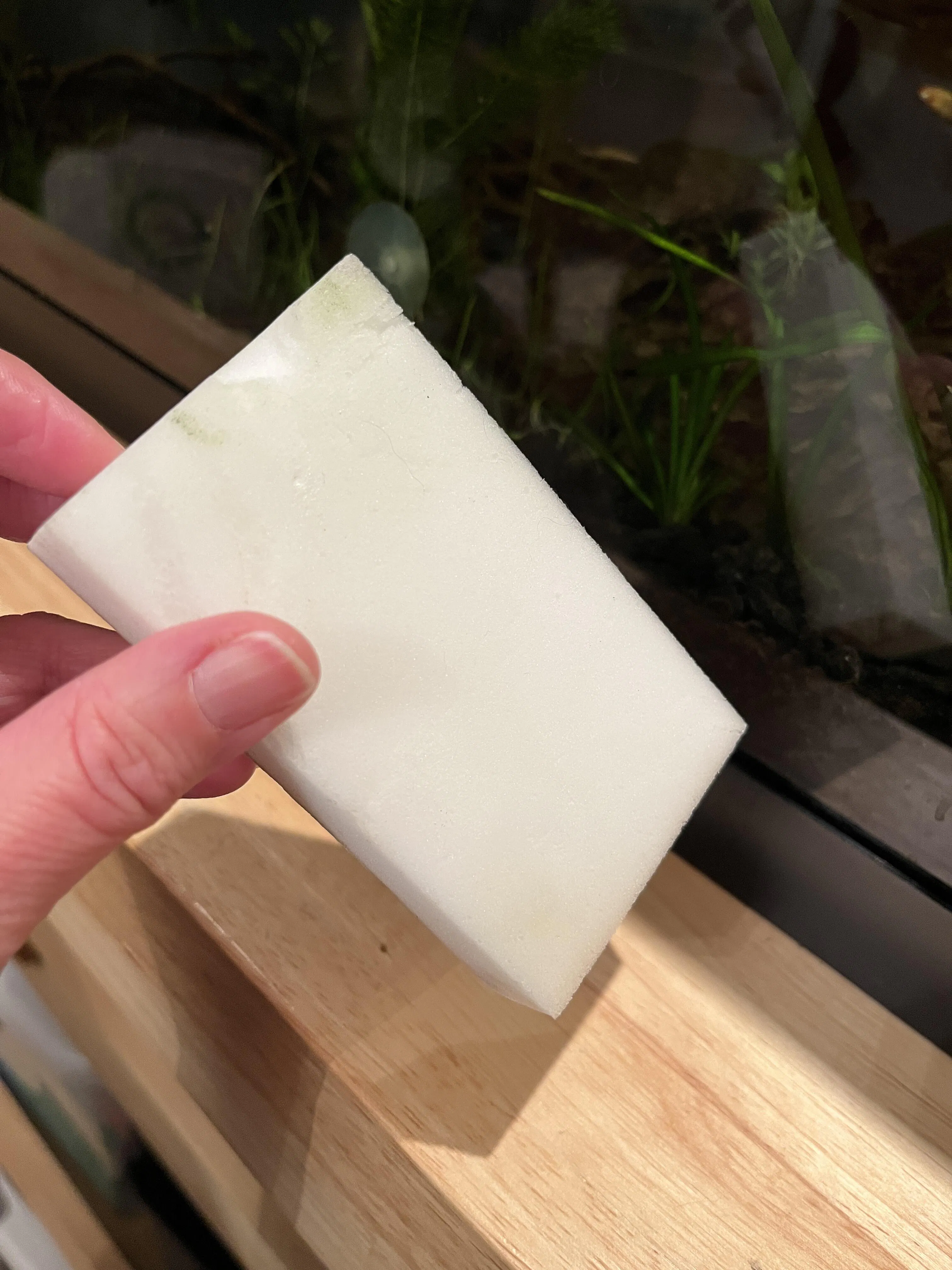 Algae Scrubber | Aquarium Algae Remover to Clean Fish Tanks – Aquarium ...