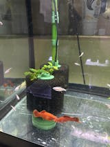 Coarse Sponge Filter | Aquarium Filter for Fish Tanks | Fish Filter ...