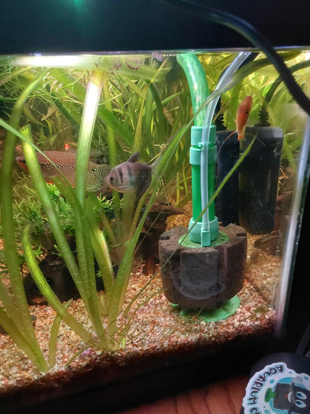 Easy Flow Sponge Filter Upgrade Kit for Aquarium Co-Op Sponge Filters