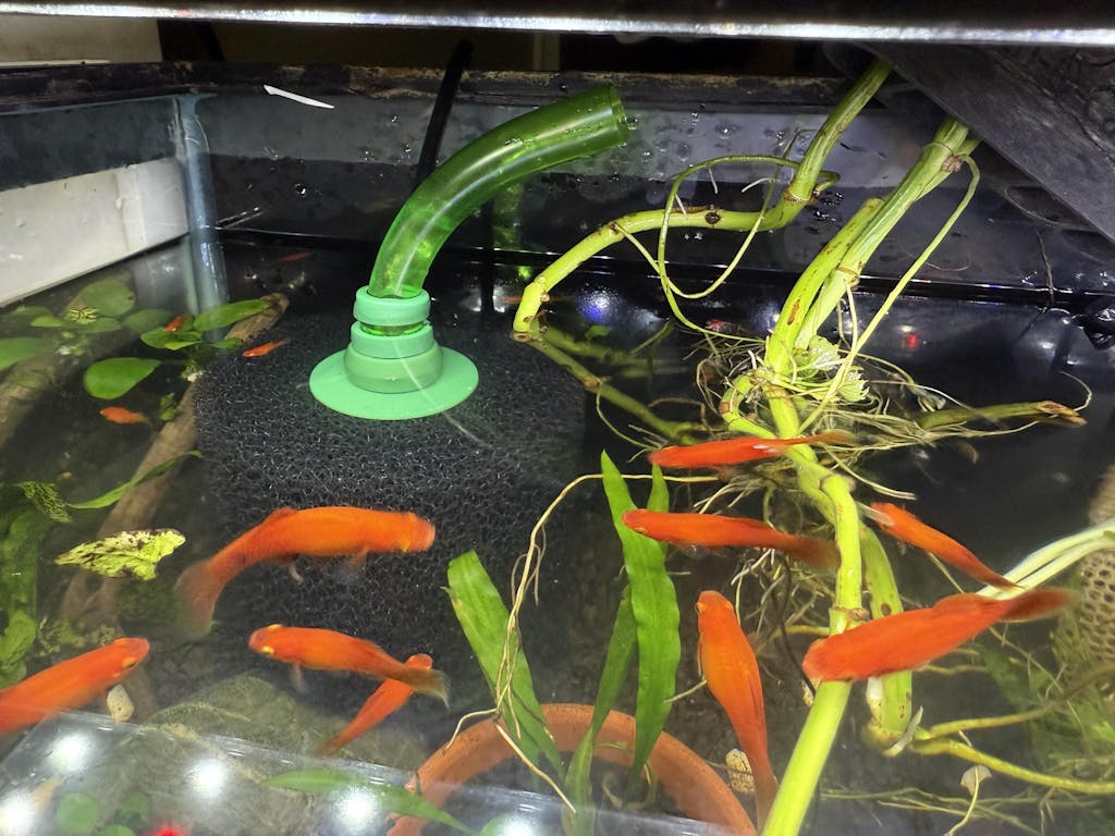 Coarse Sponge Filter | Aquarium Filter for Fish Tanks | Fish Filter ...