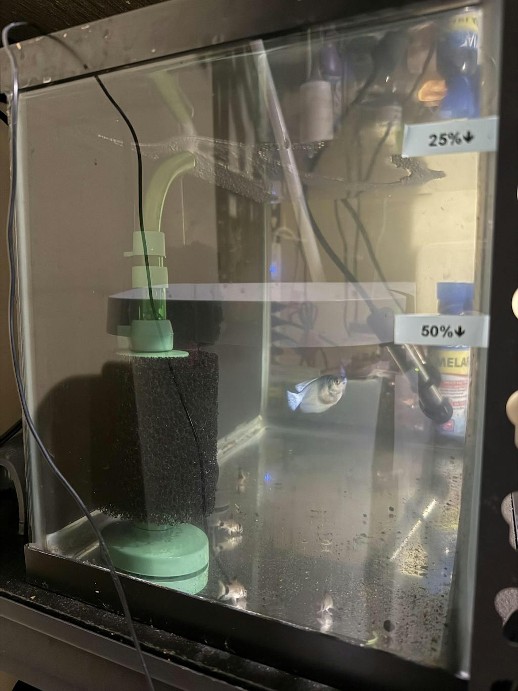 Coarse Sponge Filter | Aquarium Filter for Fish Tanks | Fish Filter ...