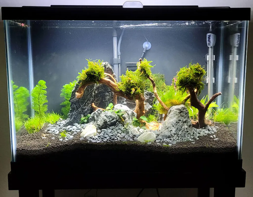 Easy Green All-in-One Fertilizer | Aquarium Plant Fertilizer – Aquarium ...