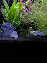 Easy Green All-in-One Fertilizer | Aquarium Plant Fertilizer – Aquarium ...