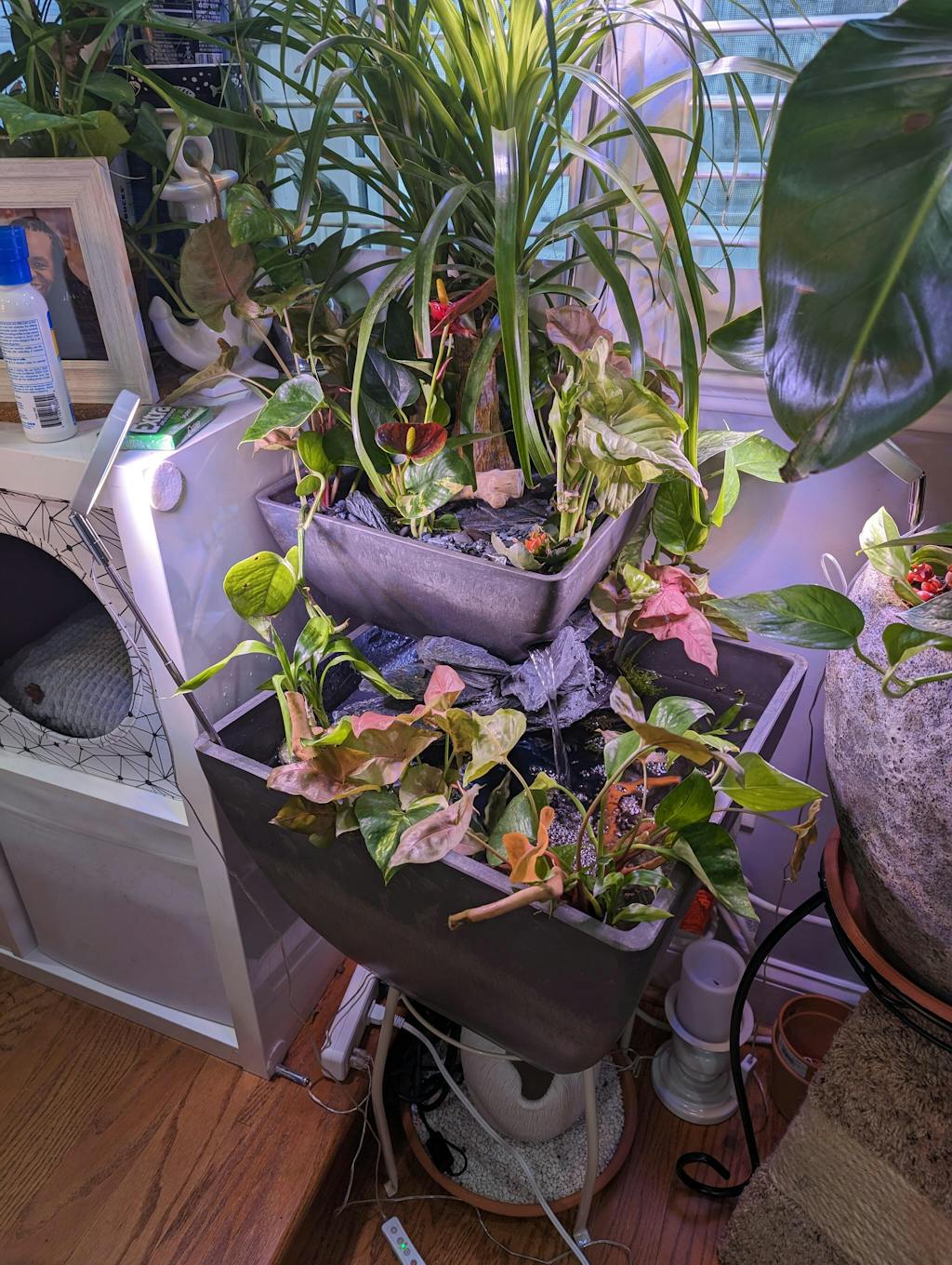 AquaSprouts Fountain - Aquaponics Hydroponics Garden System, Pond Kit