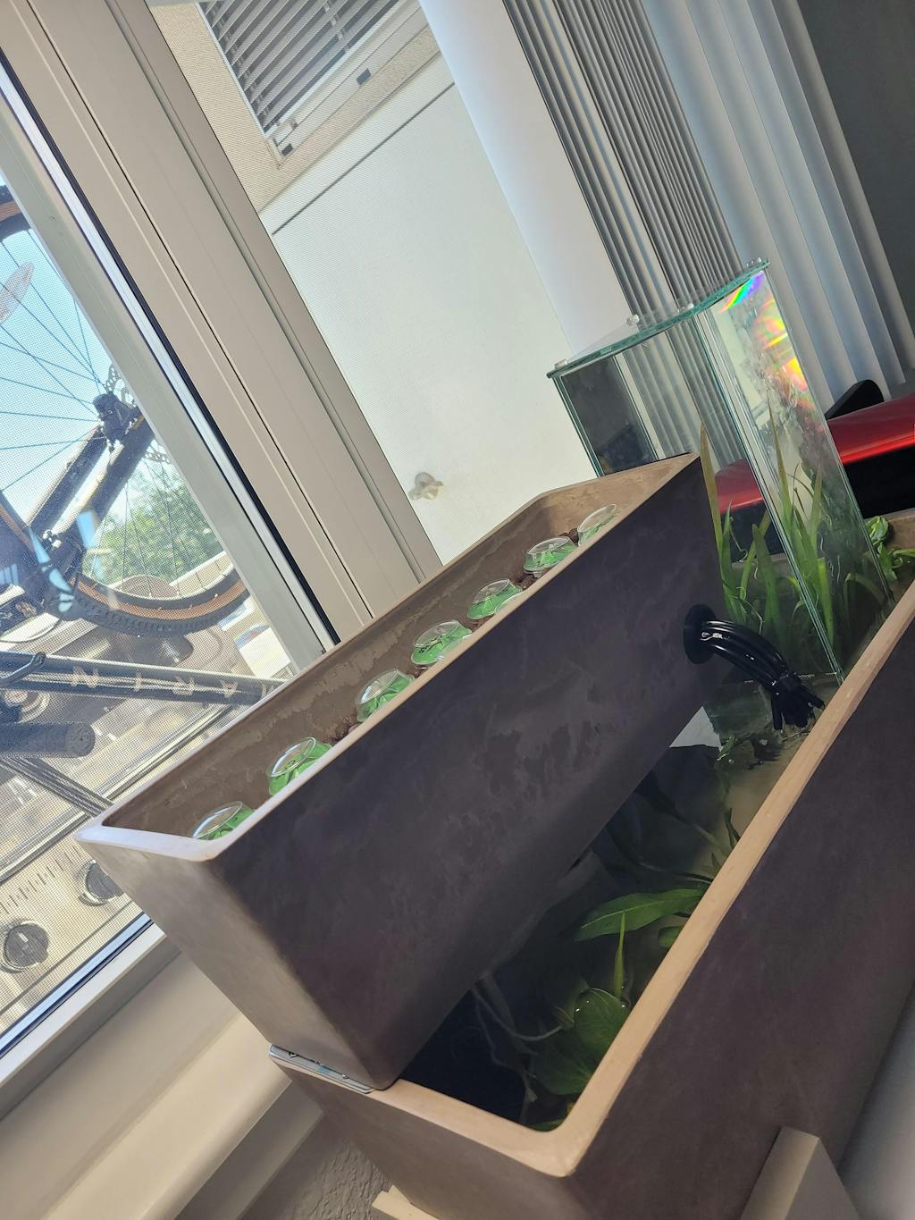 Aquaponics Hydroponics Garden Kit - AquaSprouts Fountain Pond System