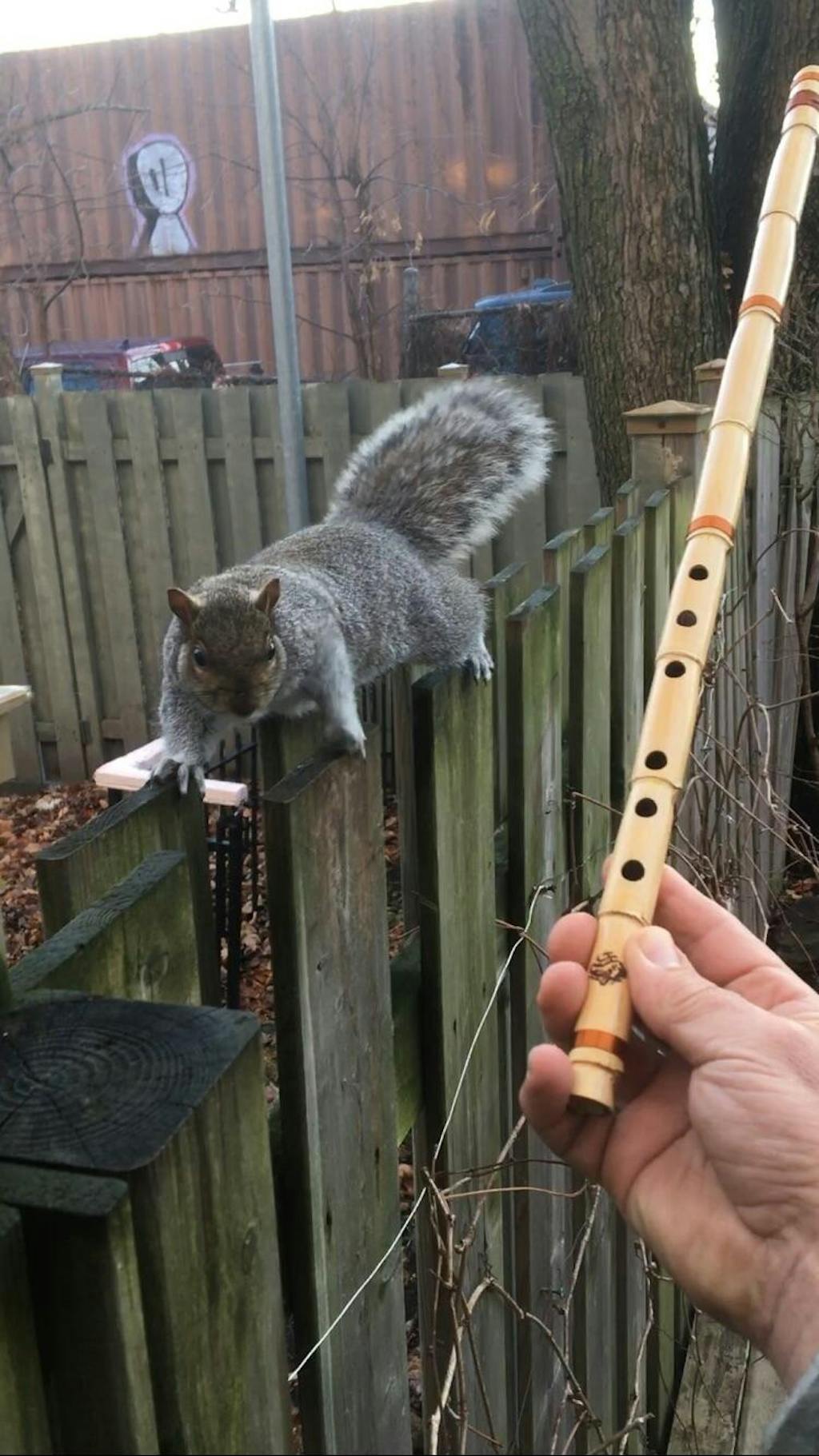 Alsaid Bayomy Egyptian Ney – Handmade & Tuned for Precision