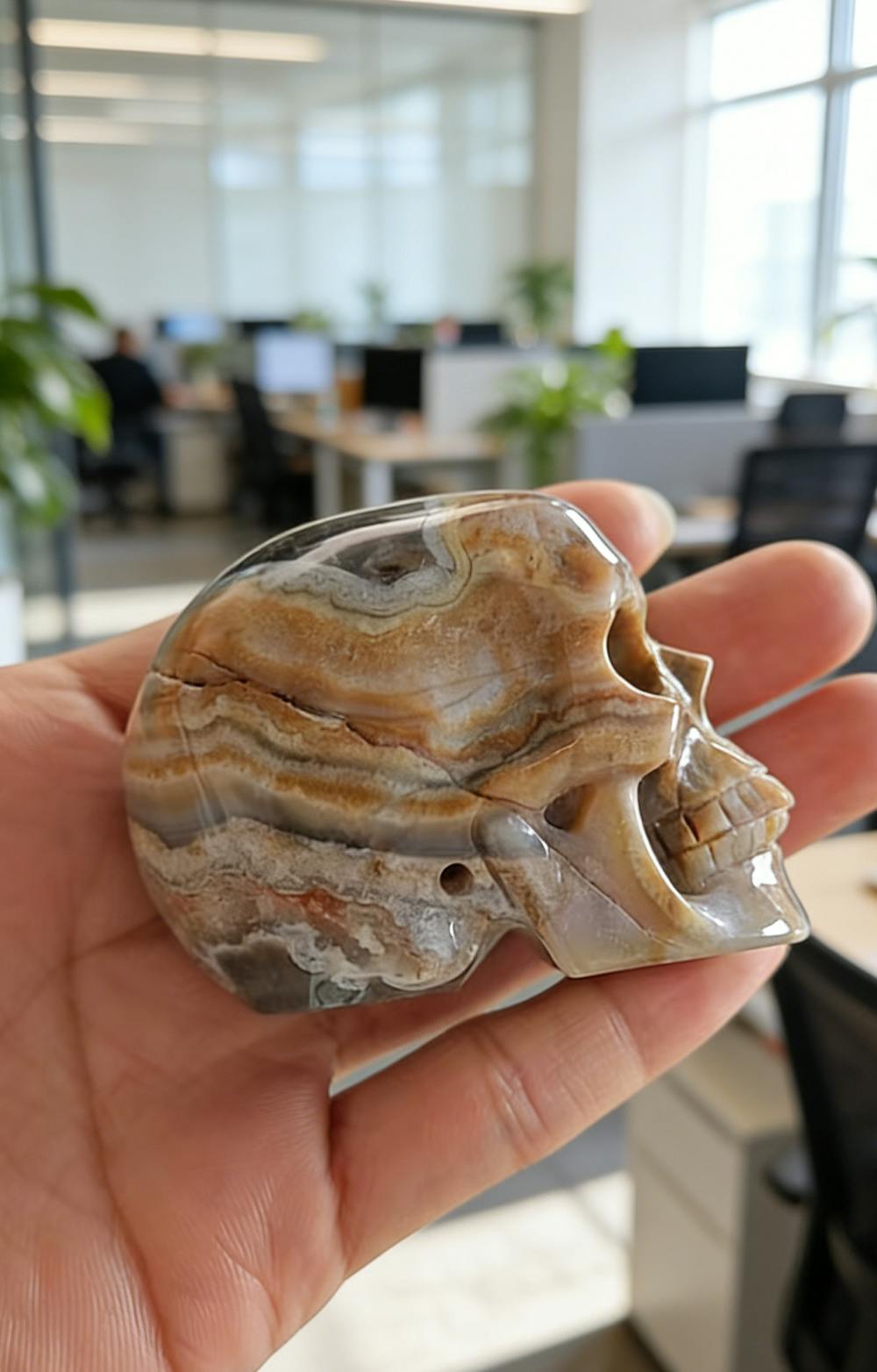 3 Inch Red Crazy Lace Agate Crystal Skull – Arcane Skull