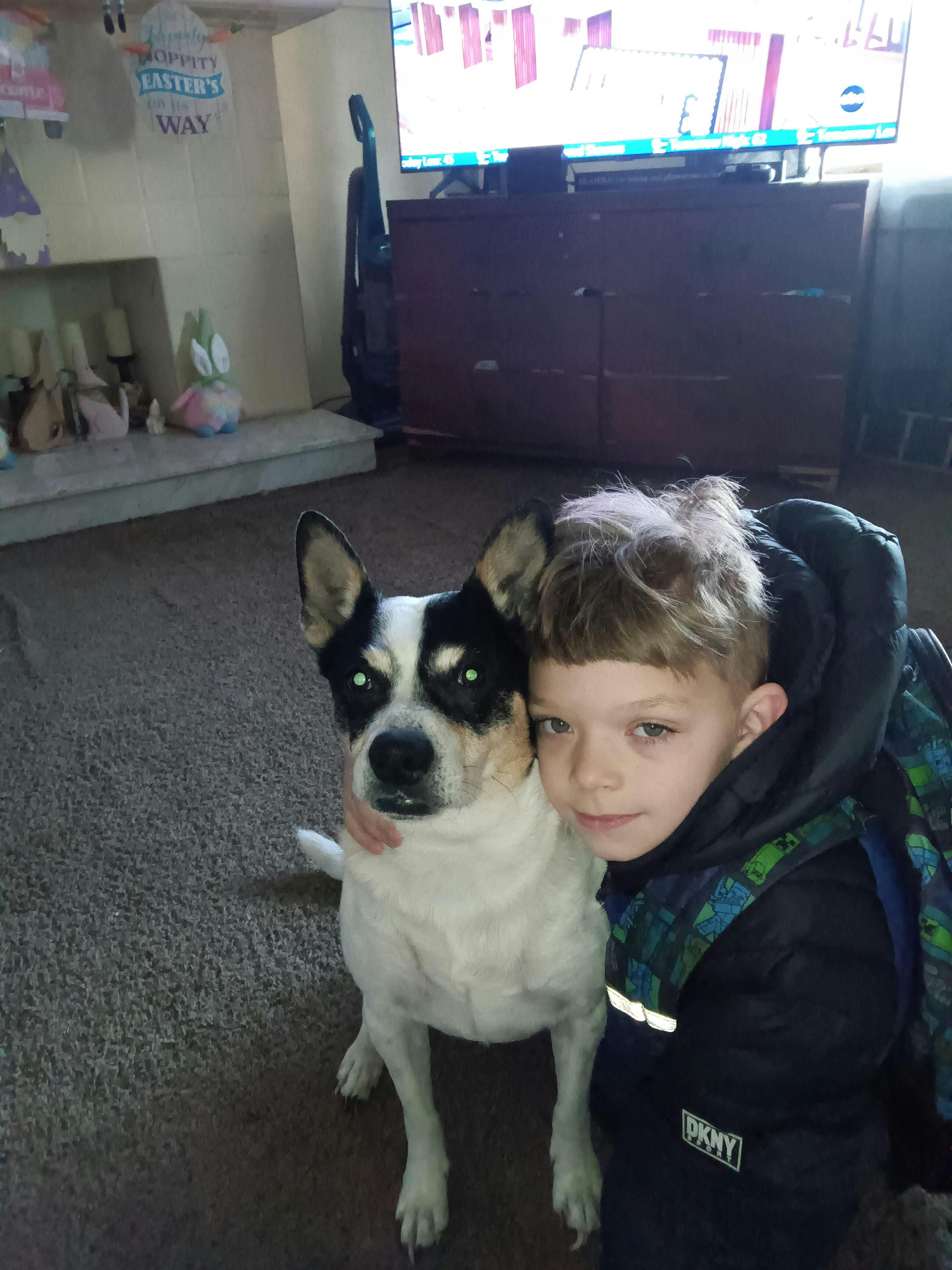 Archie's Classic Subscription Box – Archie's Dog Co.