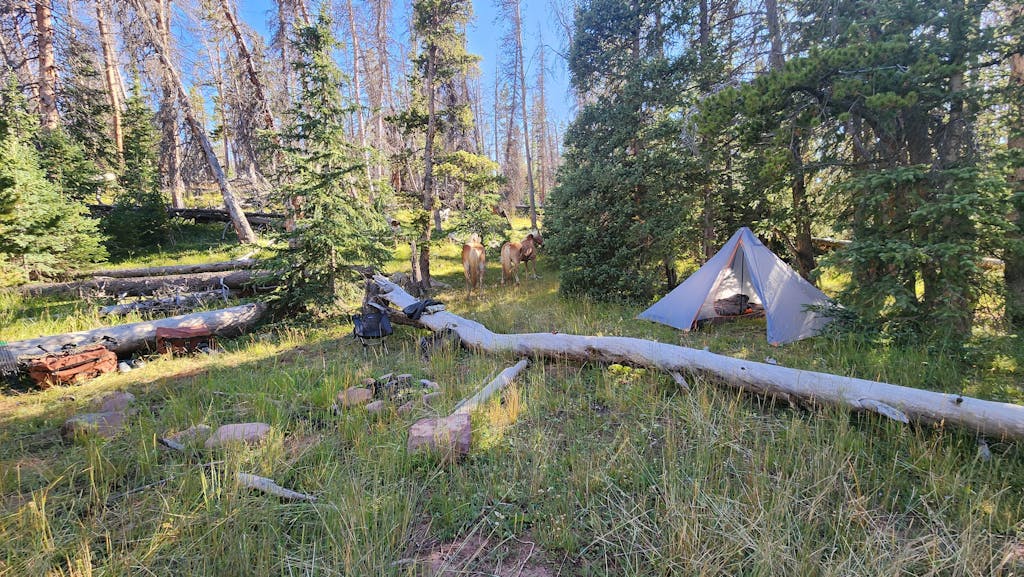 Argali Absaroka 4P Half Insert | www.argalioutdoors.com