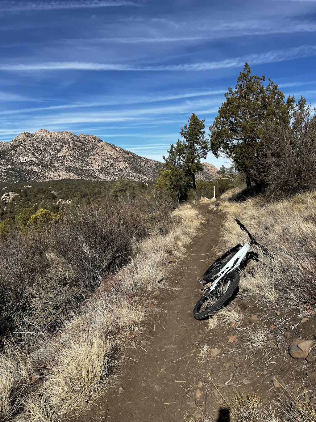 Wire Peak | Electric Trail Bike for Sale | Ari Bikes