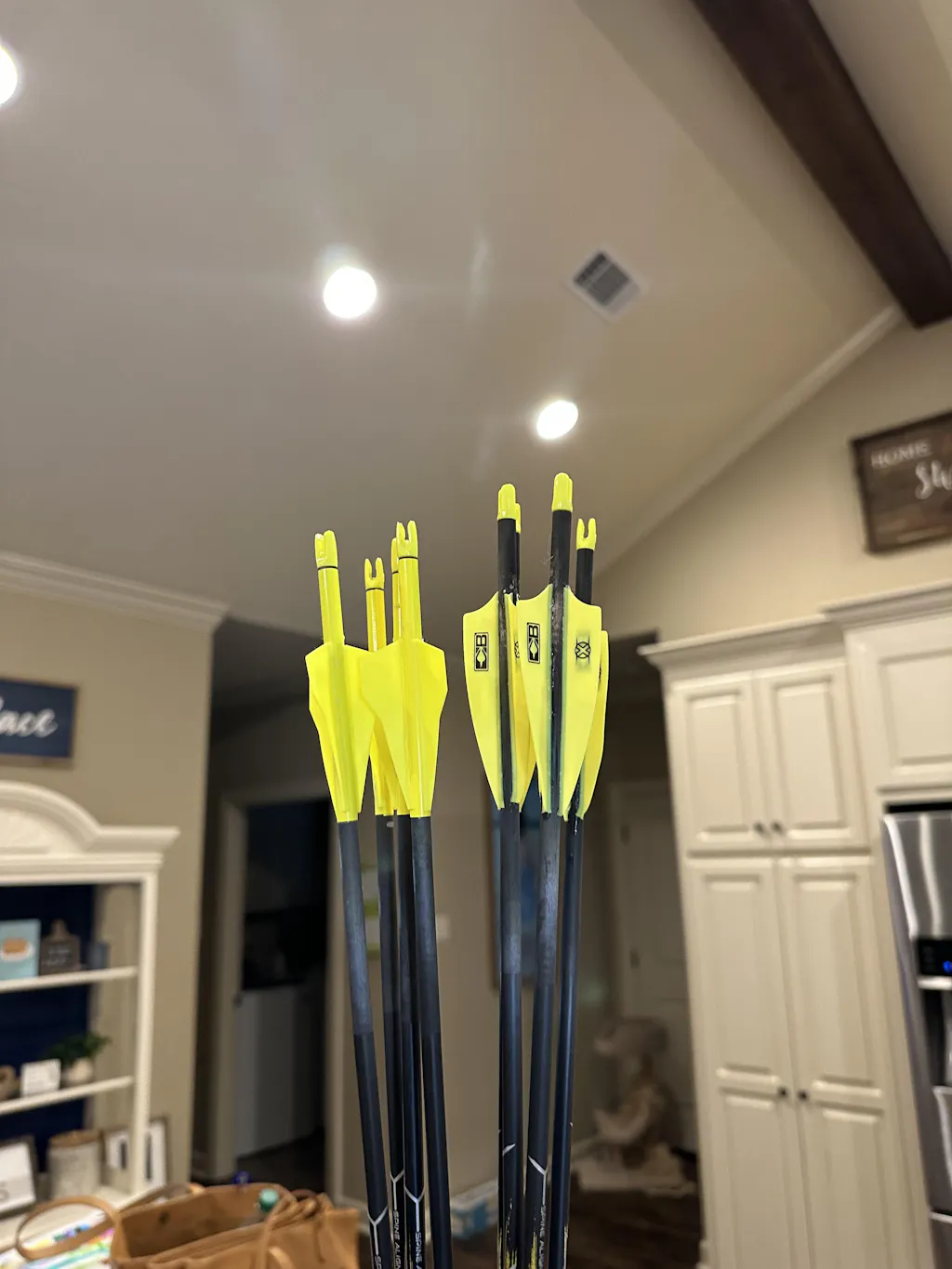 AAE IP Nock - Arizona Archery Enterprises Inc.