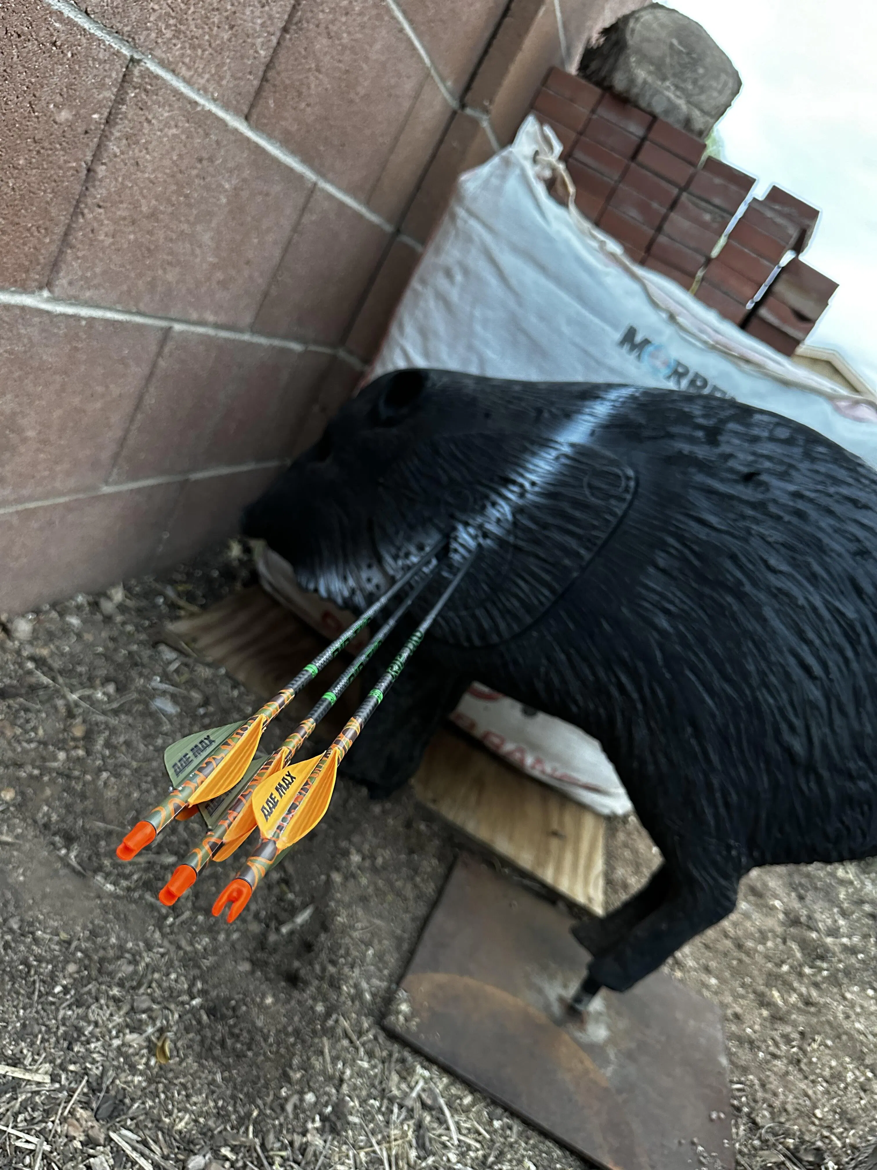 AAE MAX Stealth - Arizona Archery Enterprises Inc.