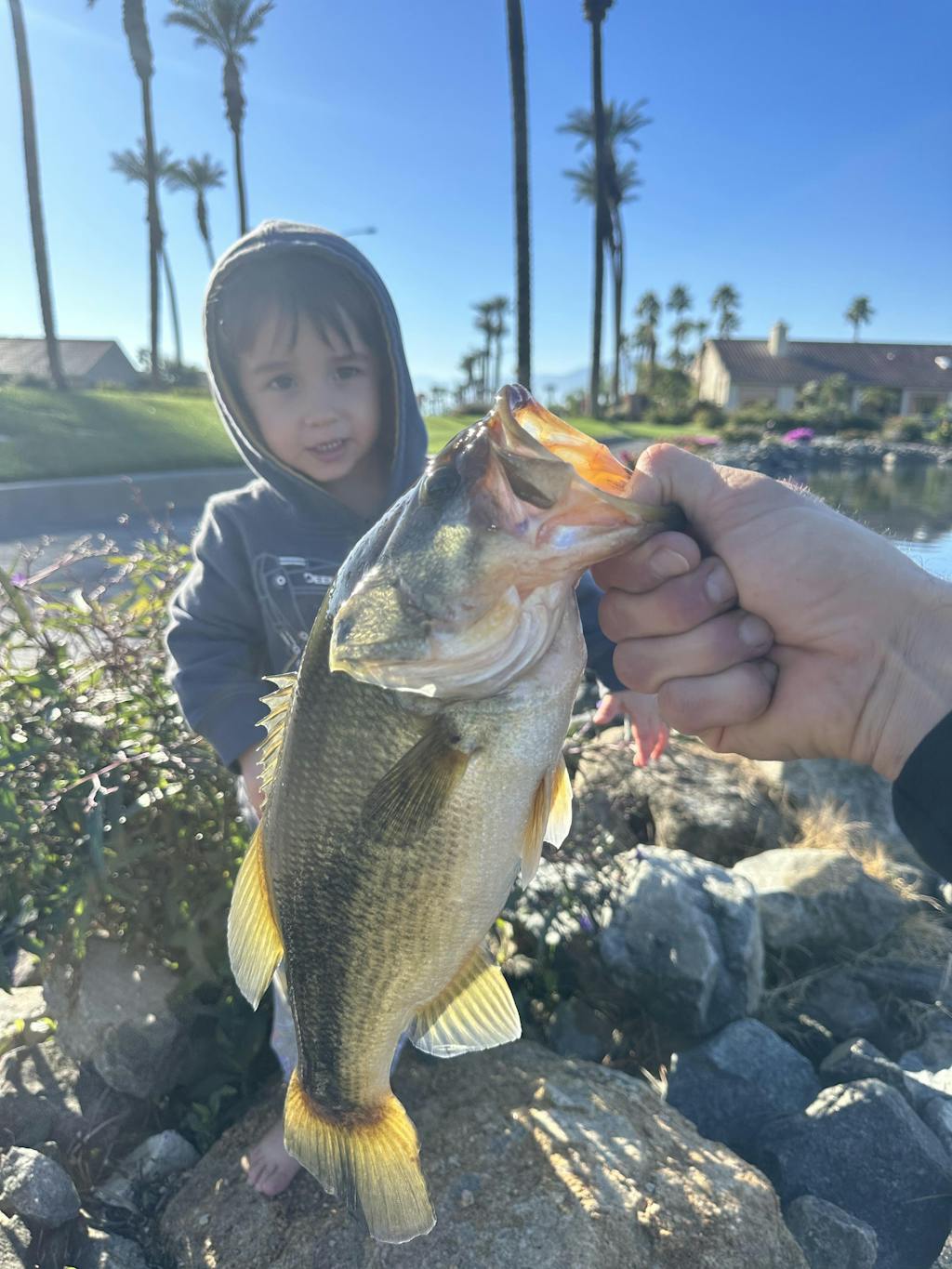 Gravity 3 – ARKFishing