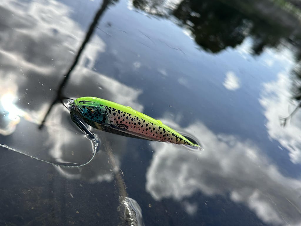 Outlaw Topwater Walking Bait – ARKFishing