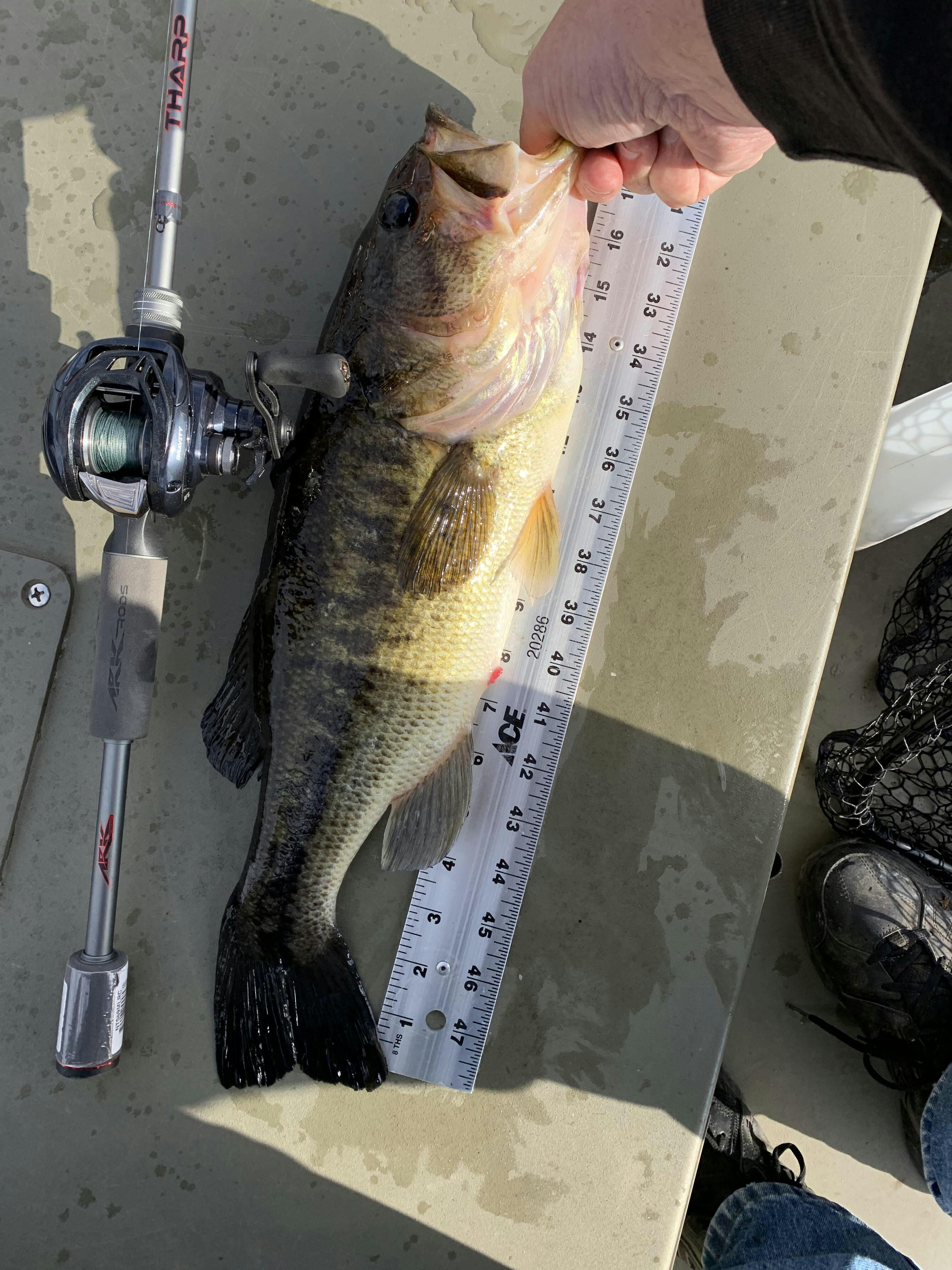 Gravity BFS – ARKFishing