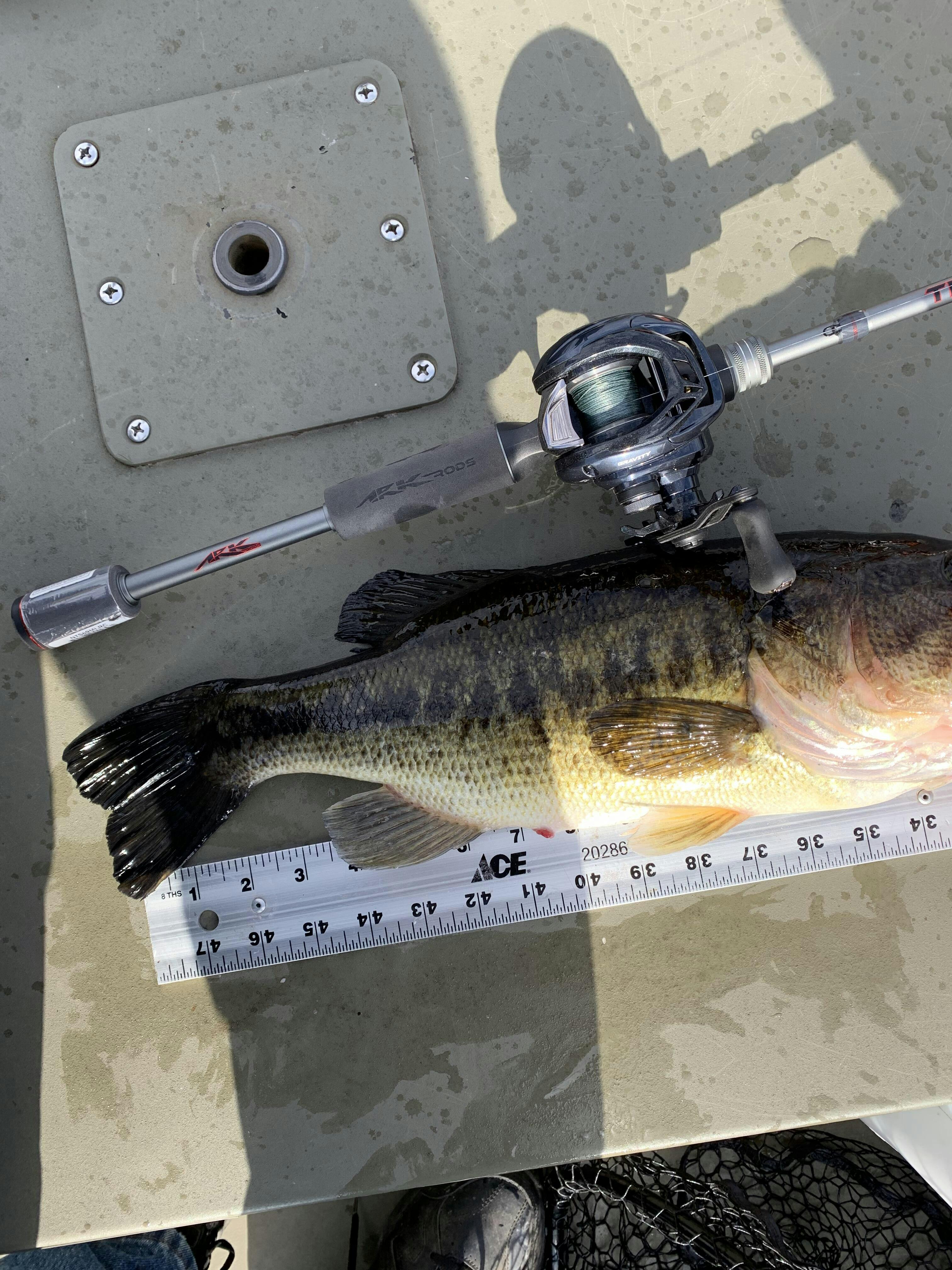 Gravity BFS – ARKFishing