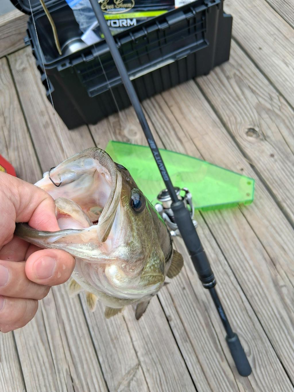 Gravity Bass Finesse Series Rod – ARKFishing