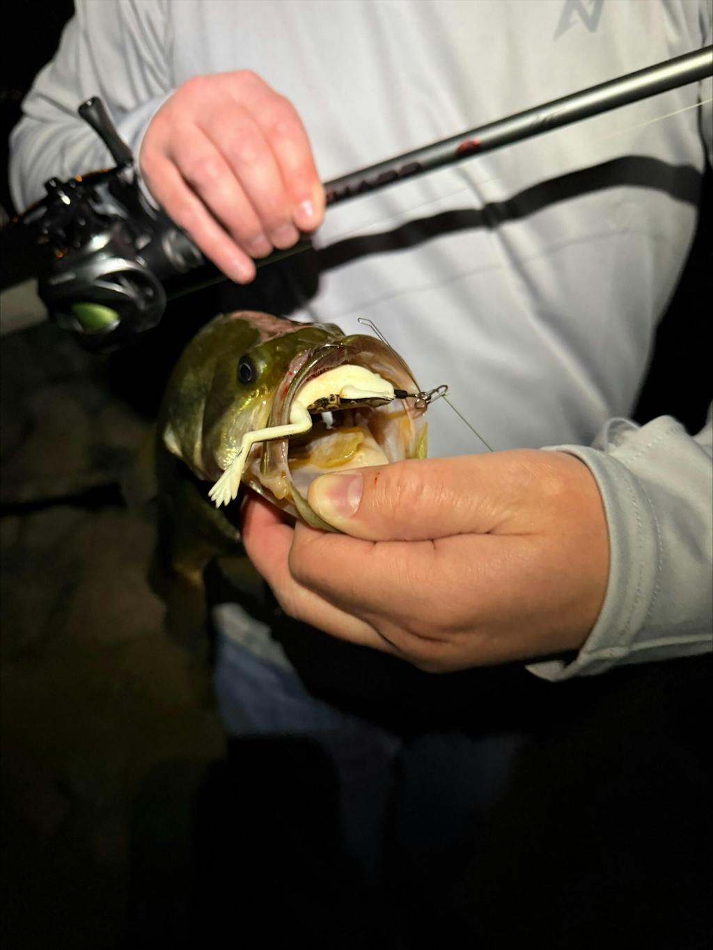 Gravity BFS – ARKFishing