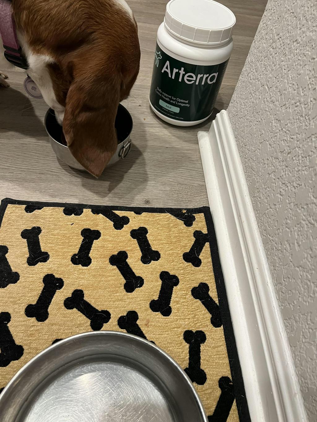Arterra Pet Science - Help your best friend live their best life