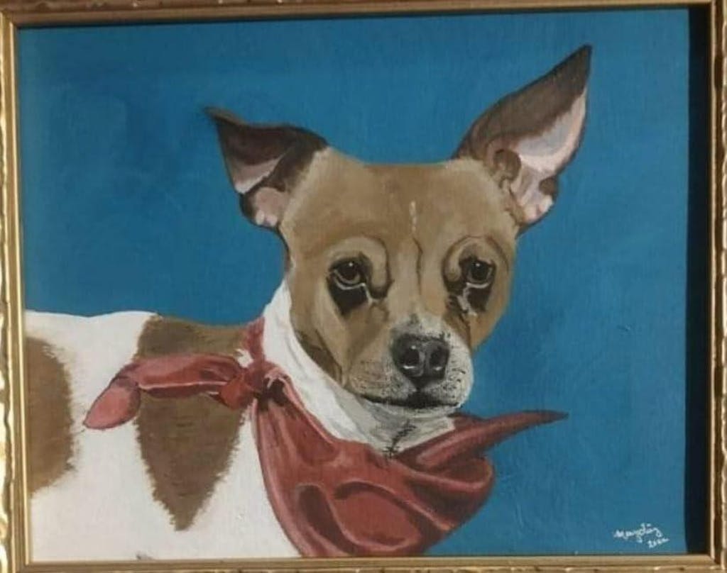 Golden ahorn 6PCS Micro Fine Detaljer maling børster sæt, Professionel ...